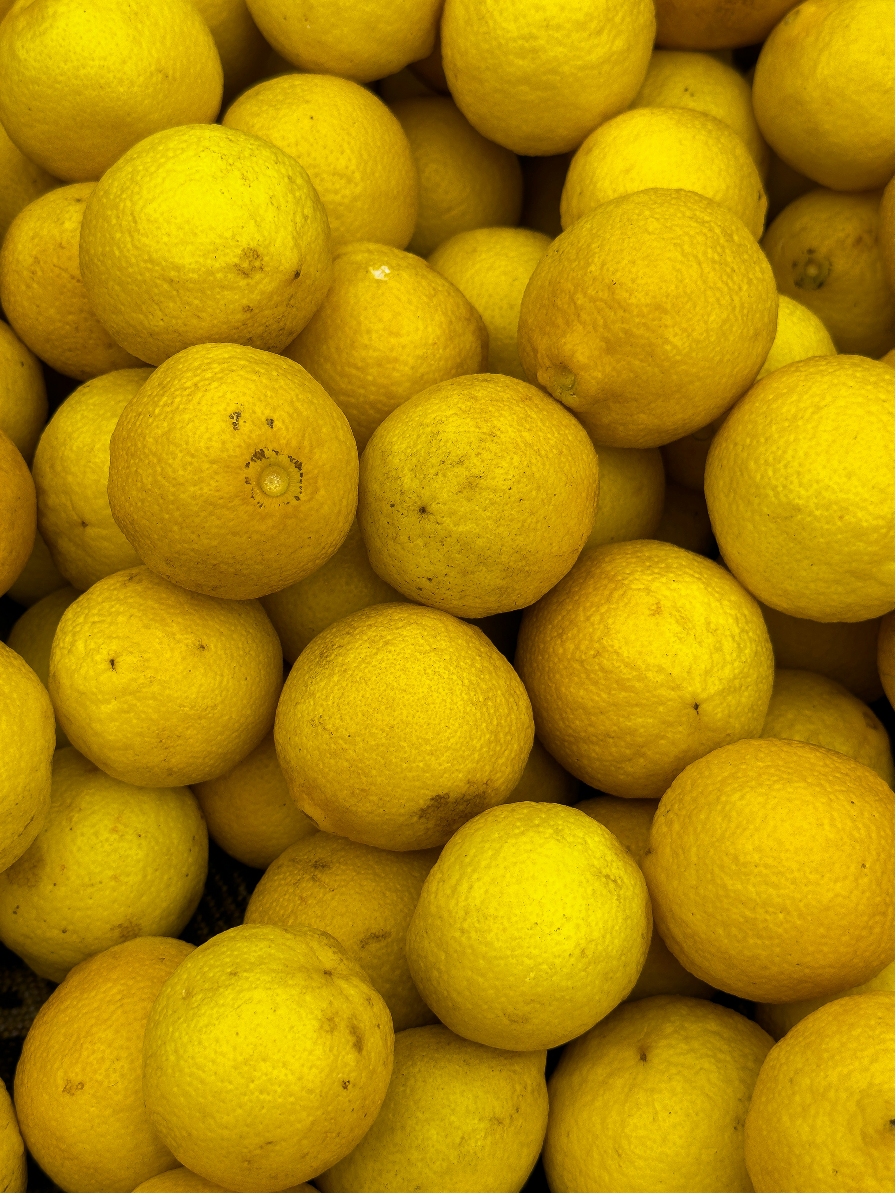 Golden Orbs: A Juicy Sea of Lemons