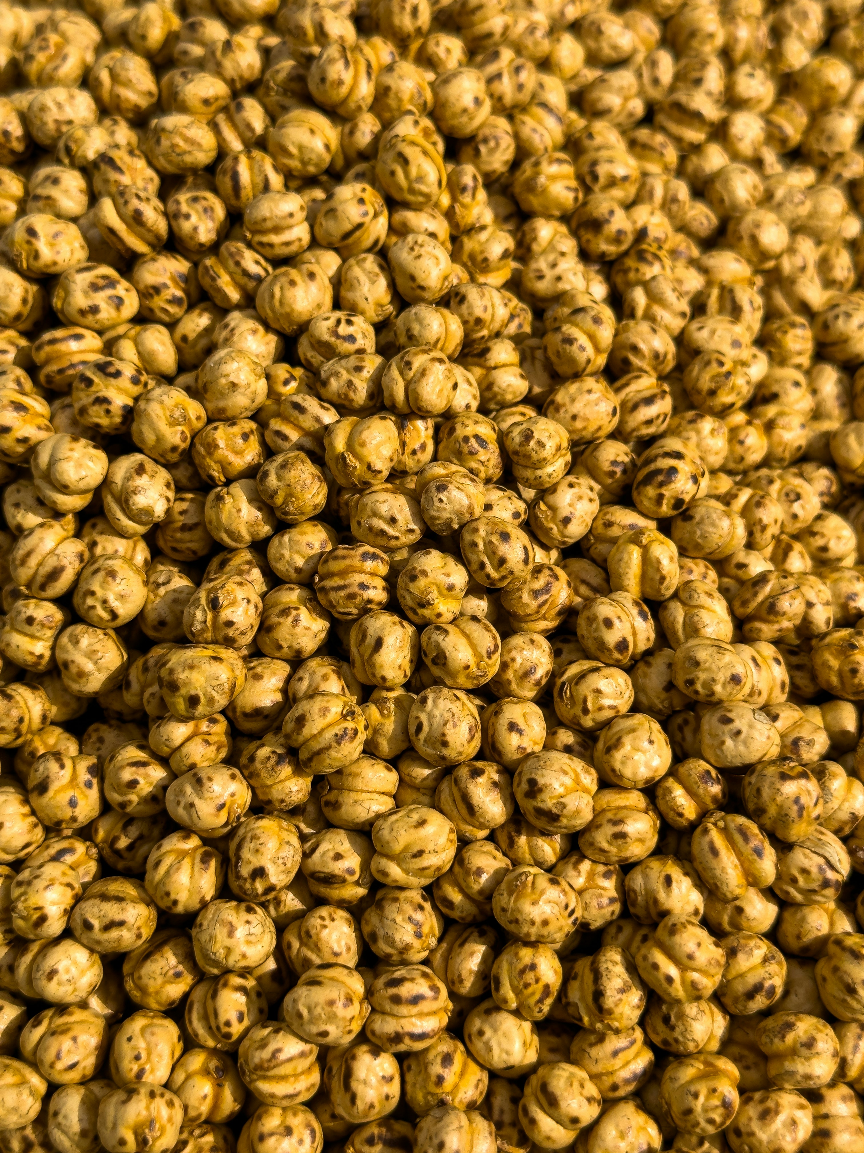 Golden speckled seeds in a sea of texture