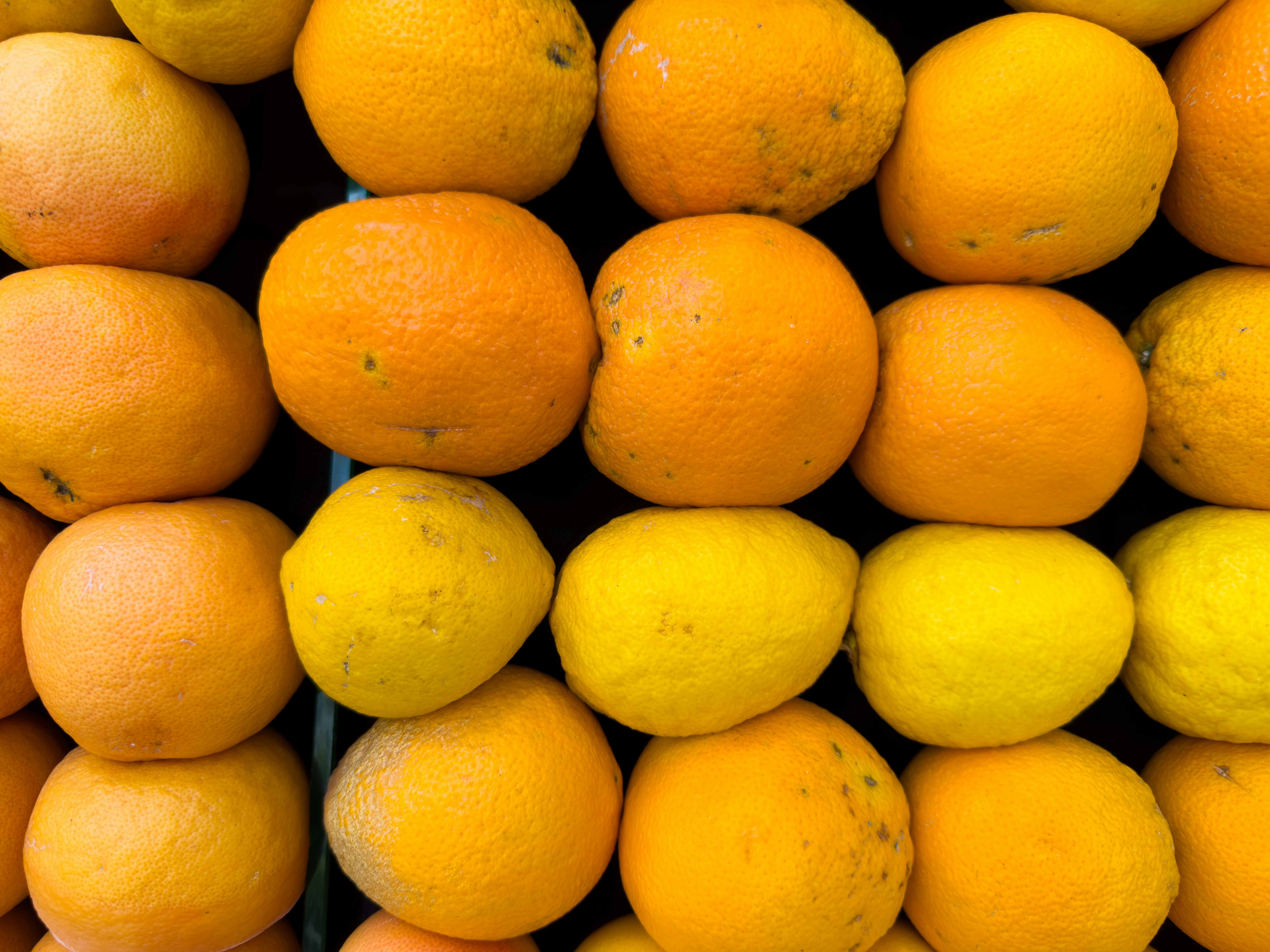 Uniform Citrus Mosaic: A Sea of Oranges and Lemons