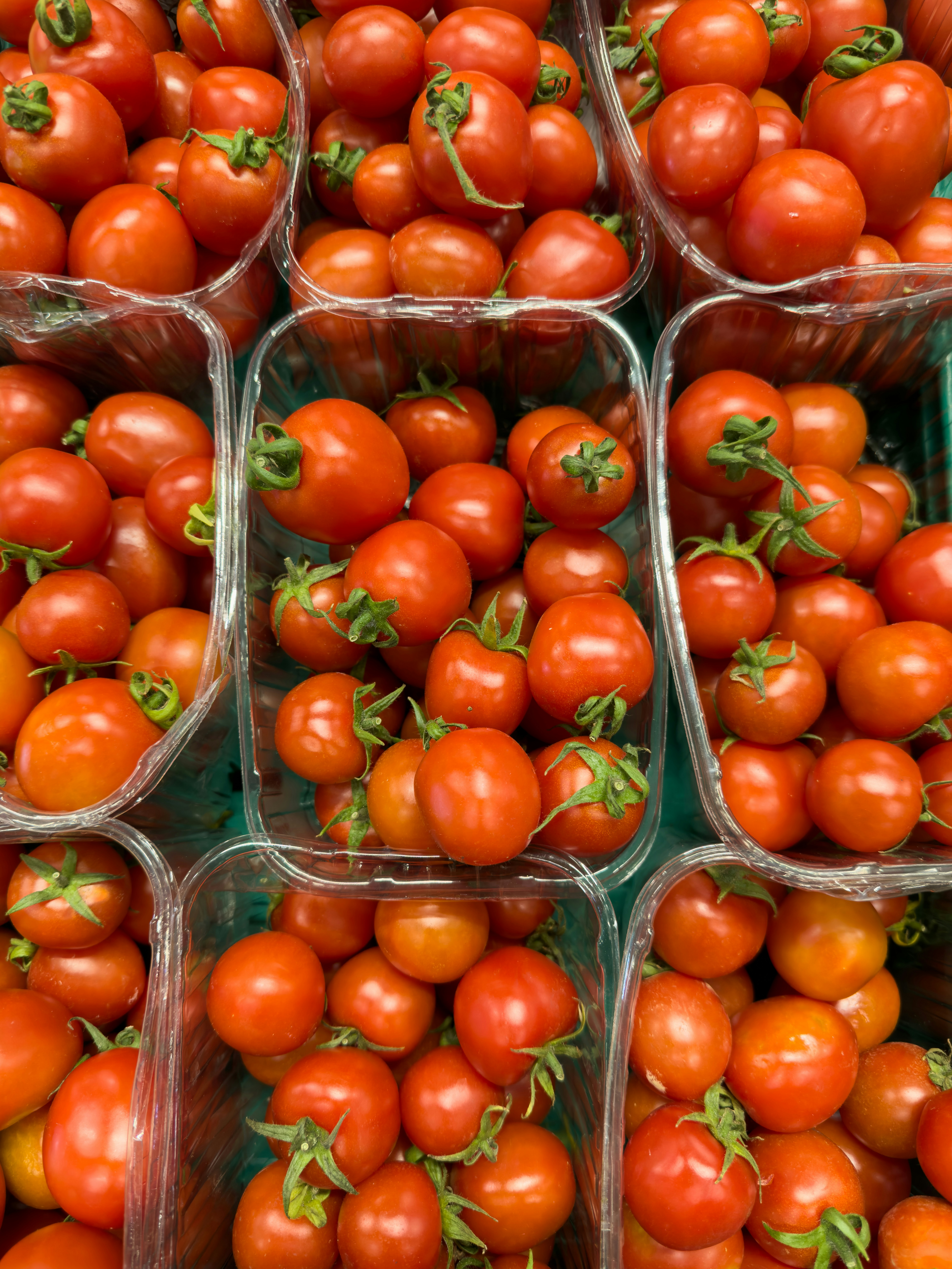 Vibrant Cherry Tomatoes in Clear Tray Compartments