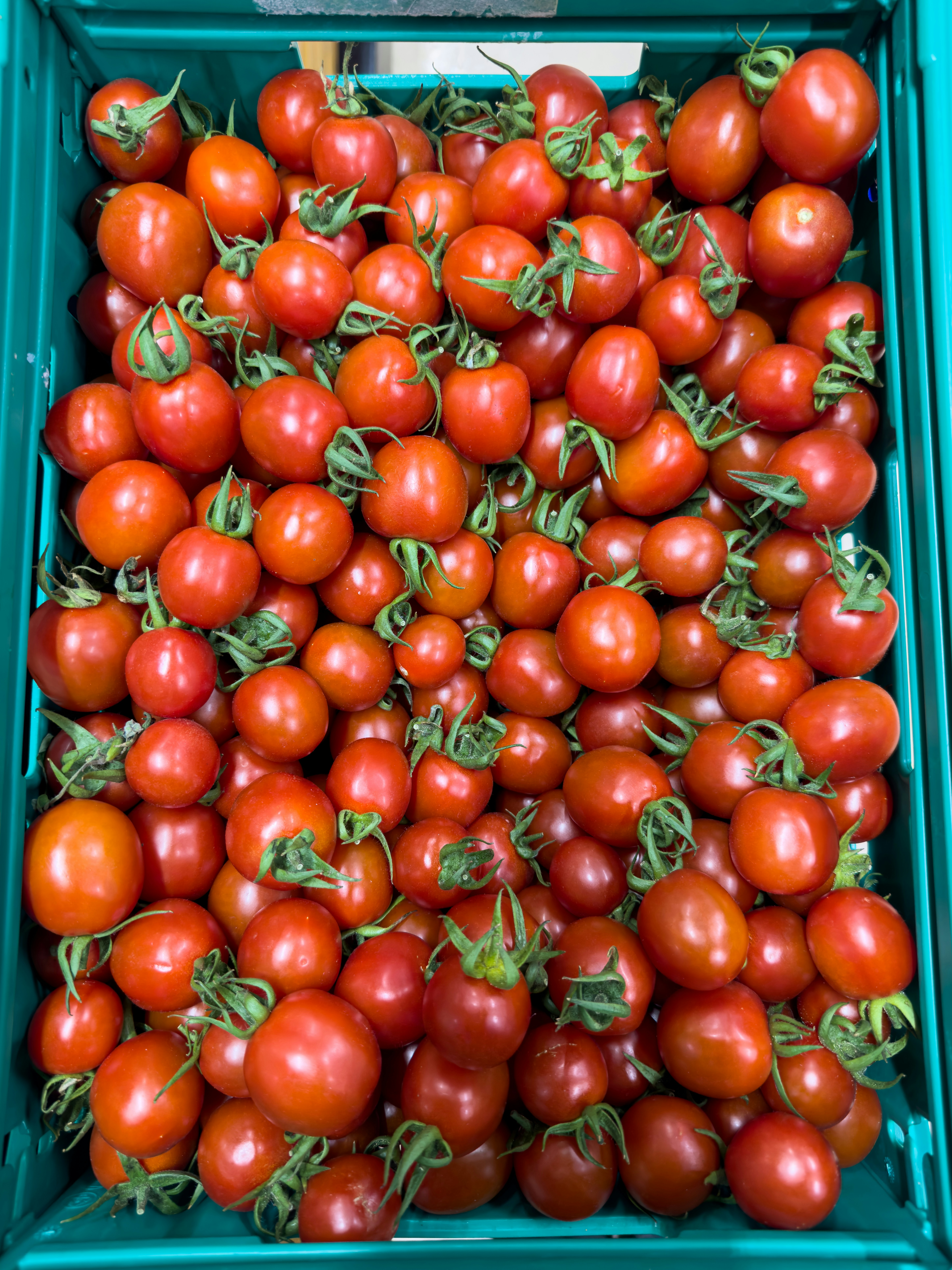 Crate of Sun-kissed Cherry Tomatoes