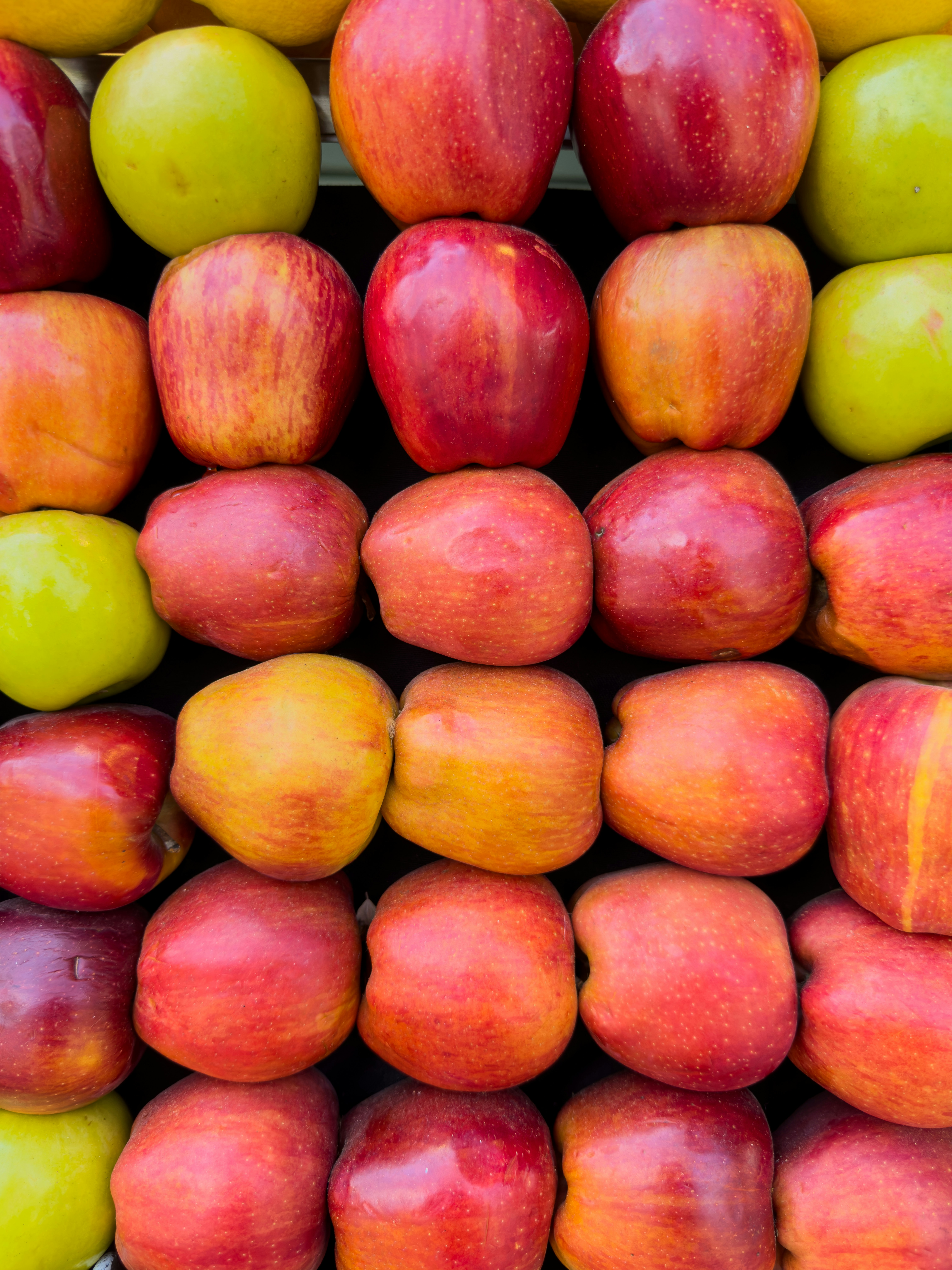 Row of Orchard Reds: Even Grid of Fresh Apples