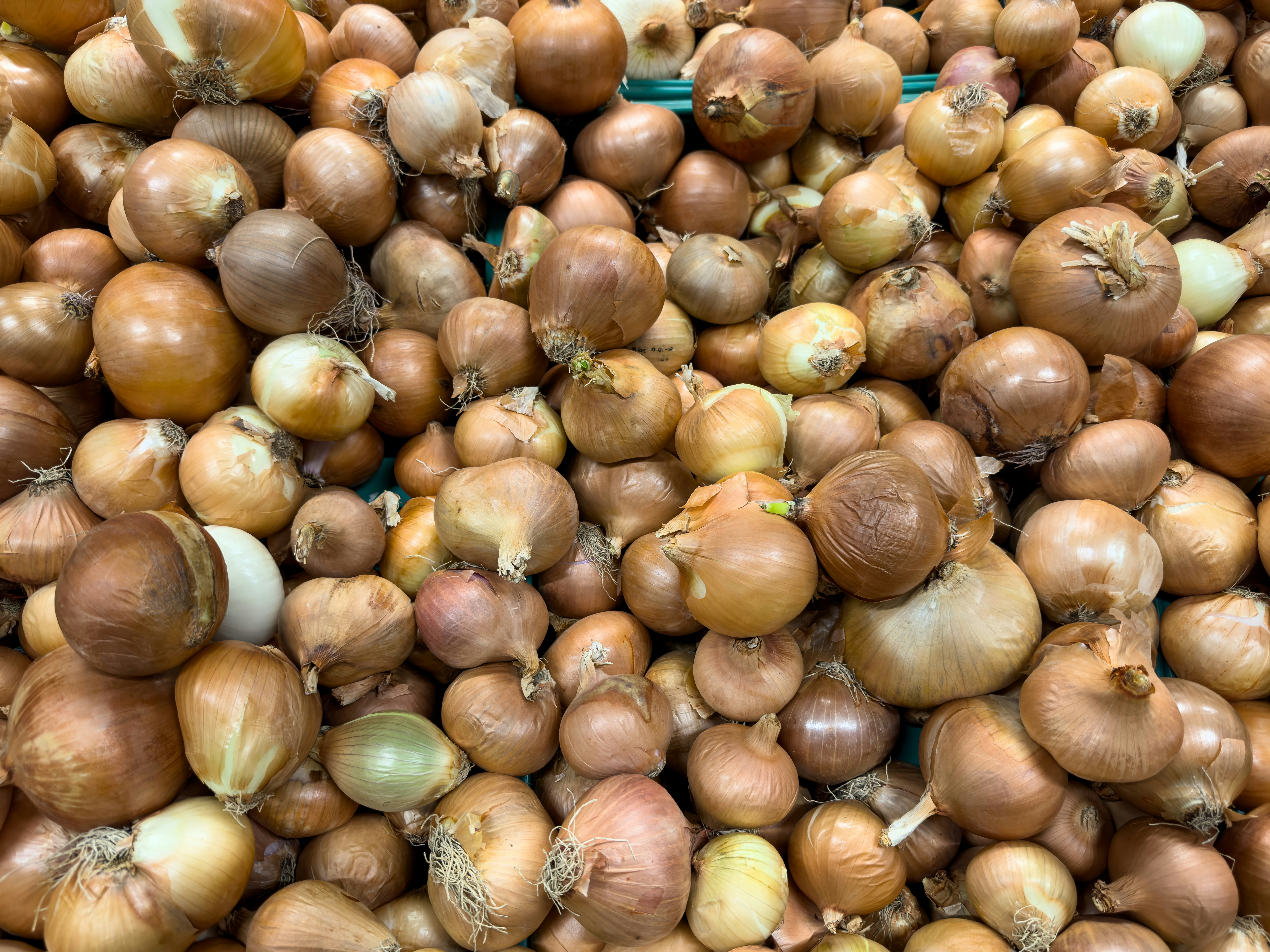 Dense pile of brown and golden onions fills the frame, highlighting textured skins and natural variations in color.