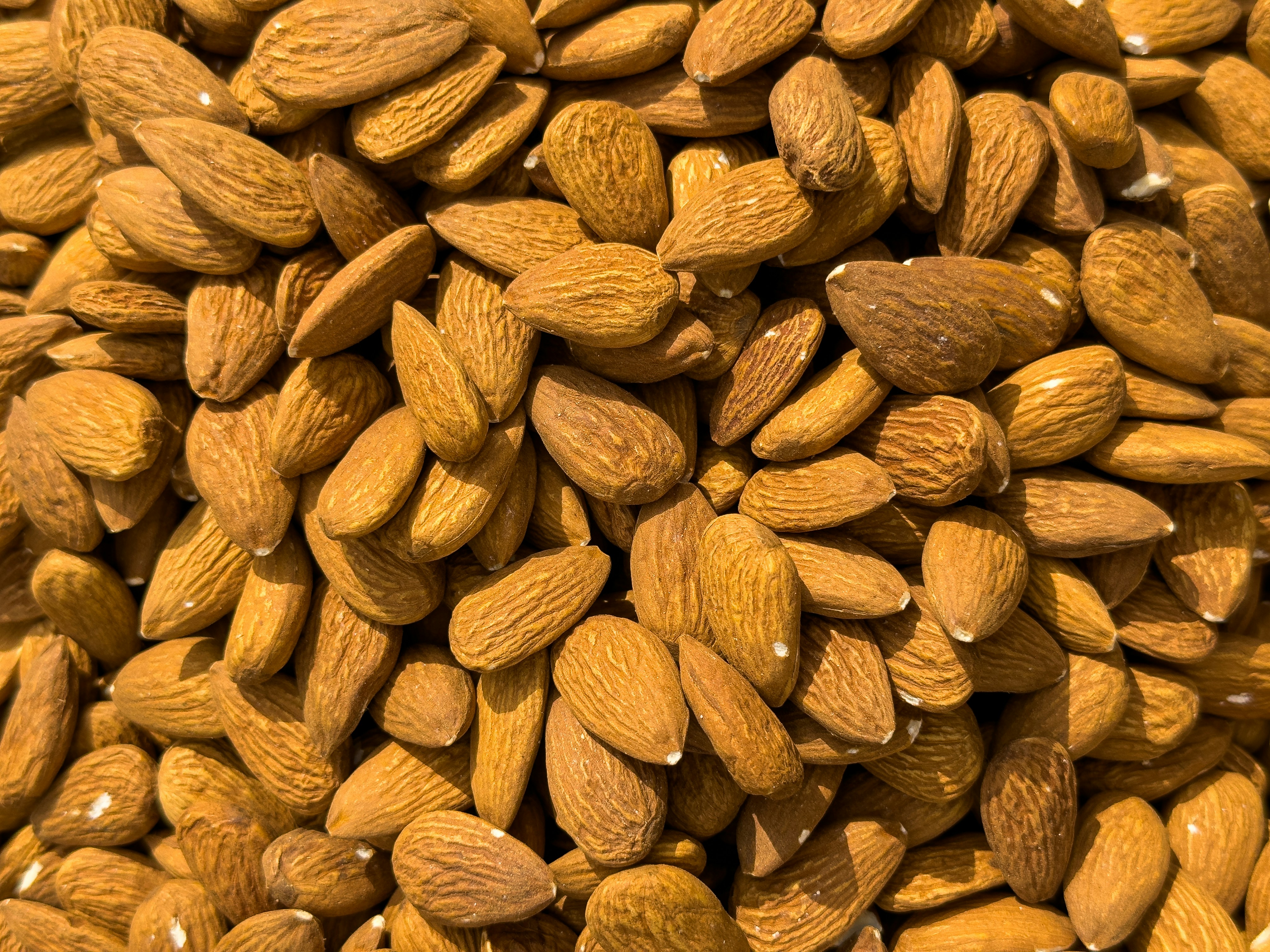 Sunlit Almond Scatter: A Close-Up Golden Crunch