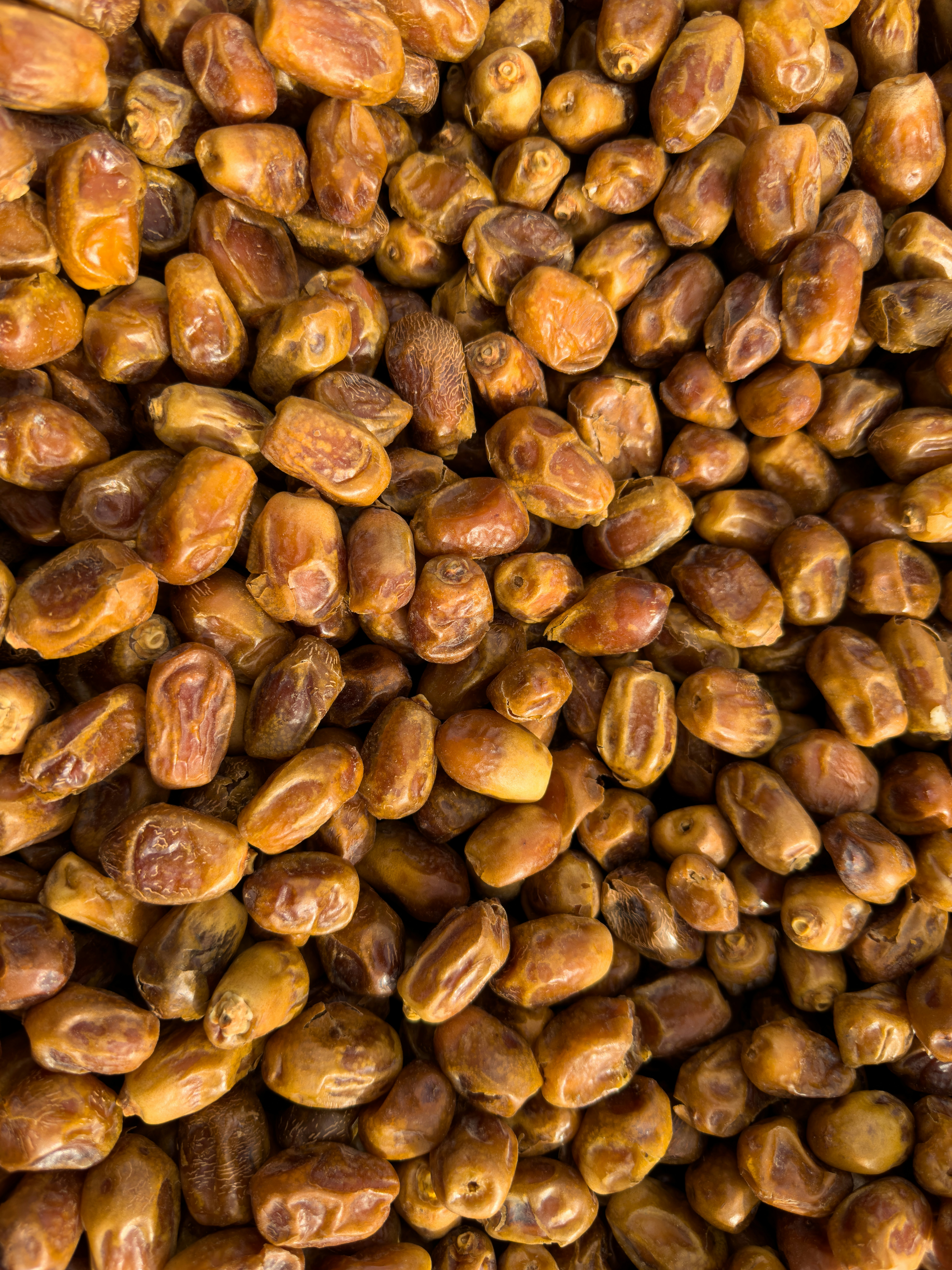 Golden Brown Harvest: Close-Up of Roasted Corn Kernels