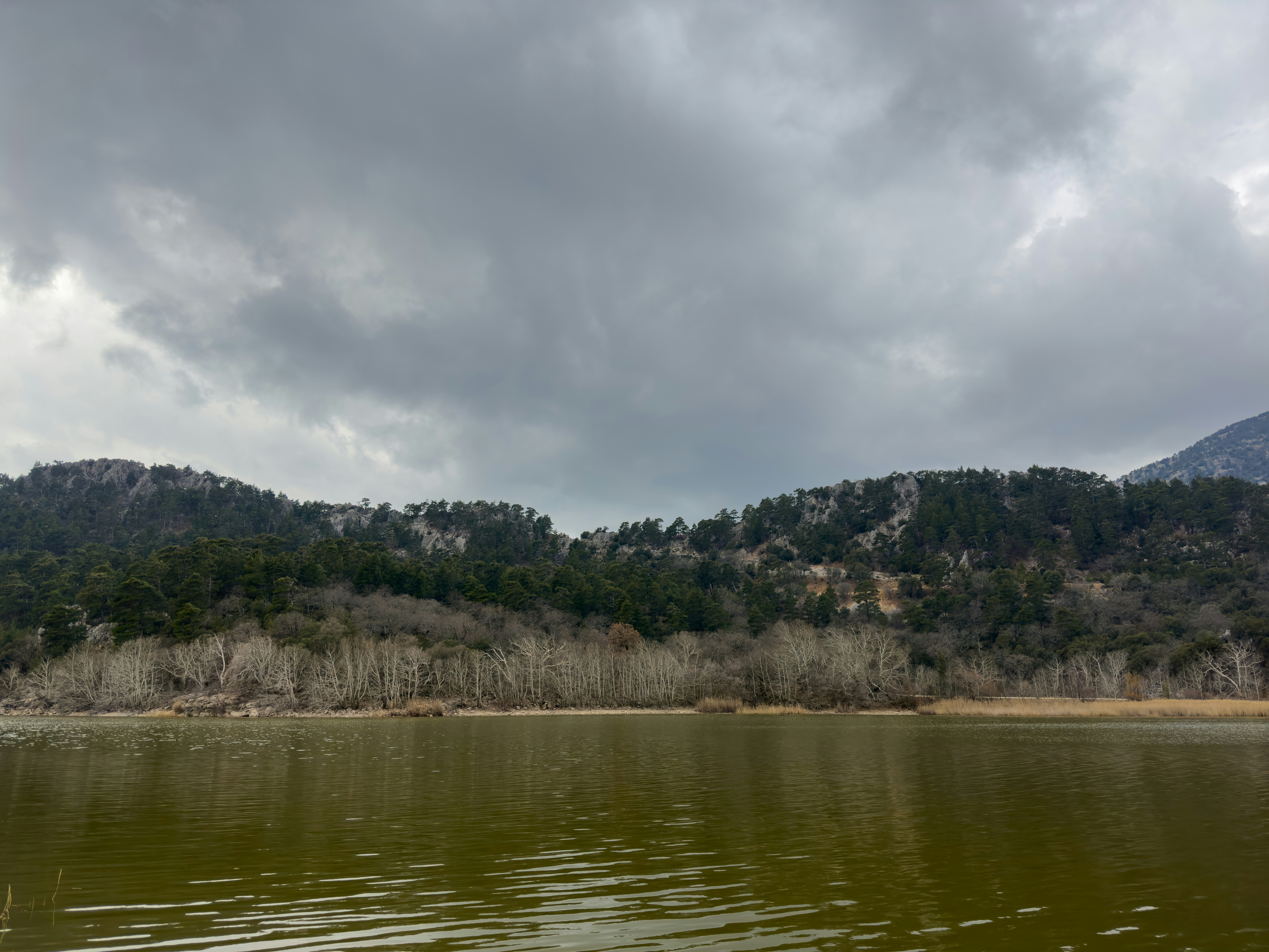 Still Water, Distant Pines: A Quiet Lake Vista Beneath Stormy Skies