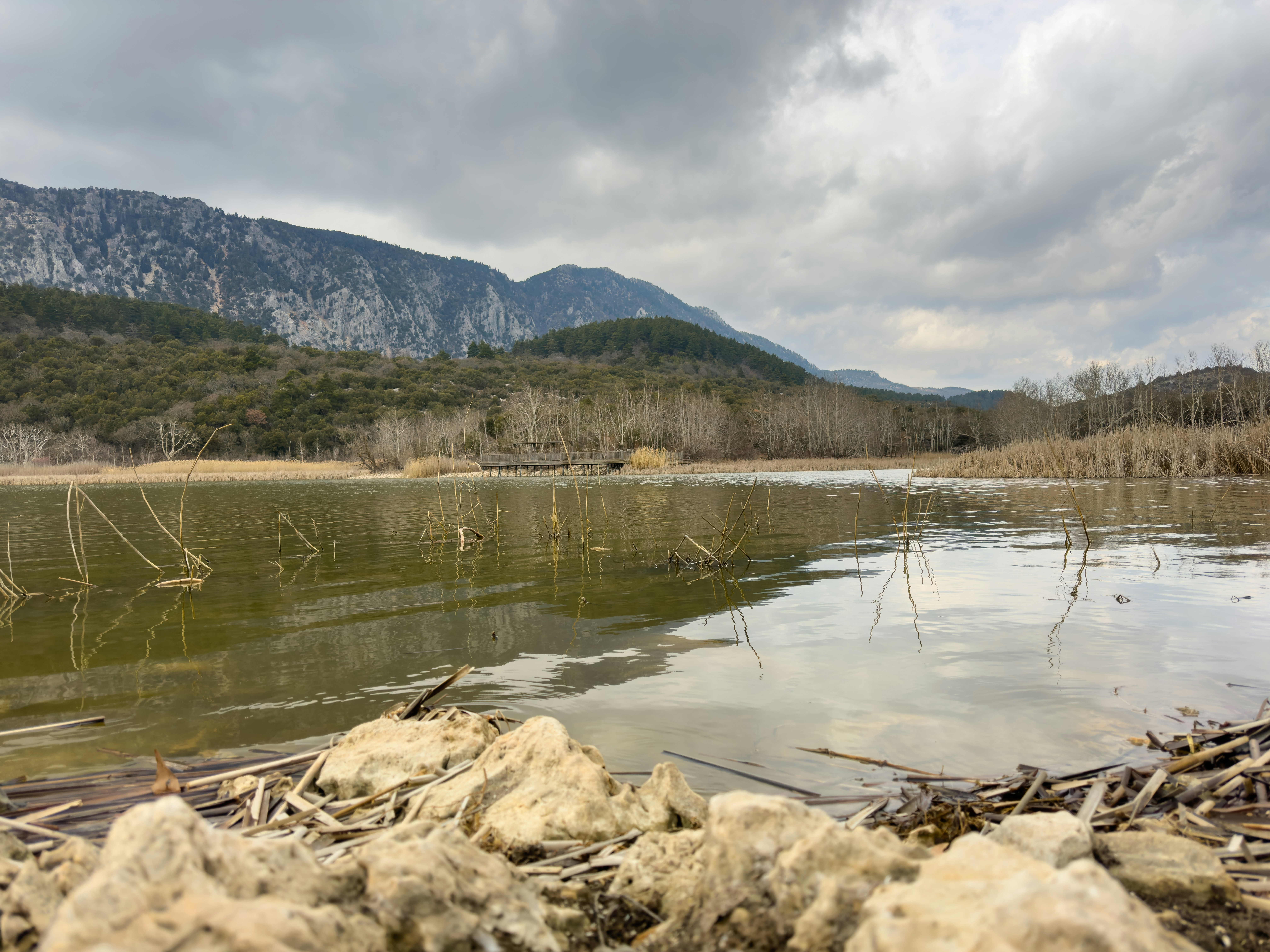 Low Tide at the Foothills: Quiet Riverbank with Driftwood