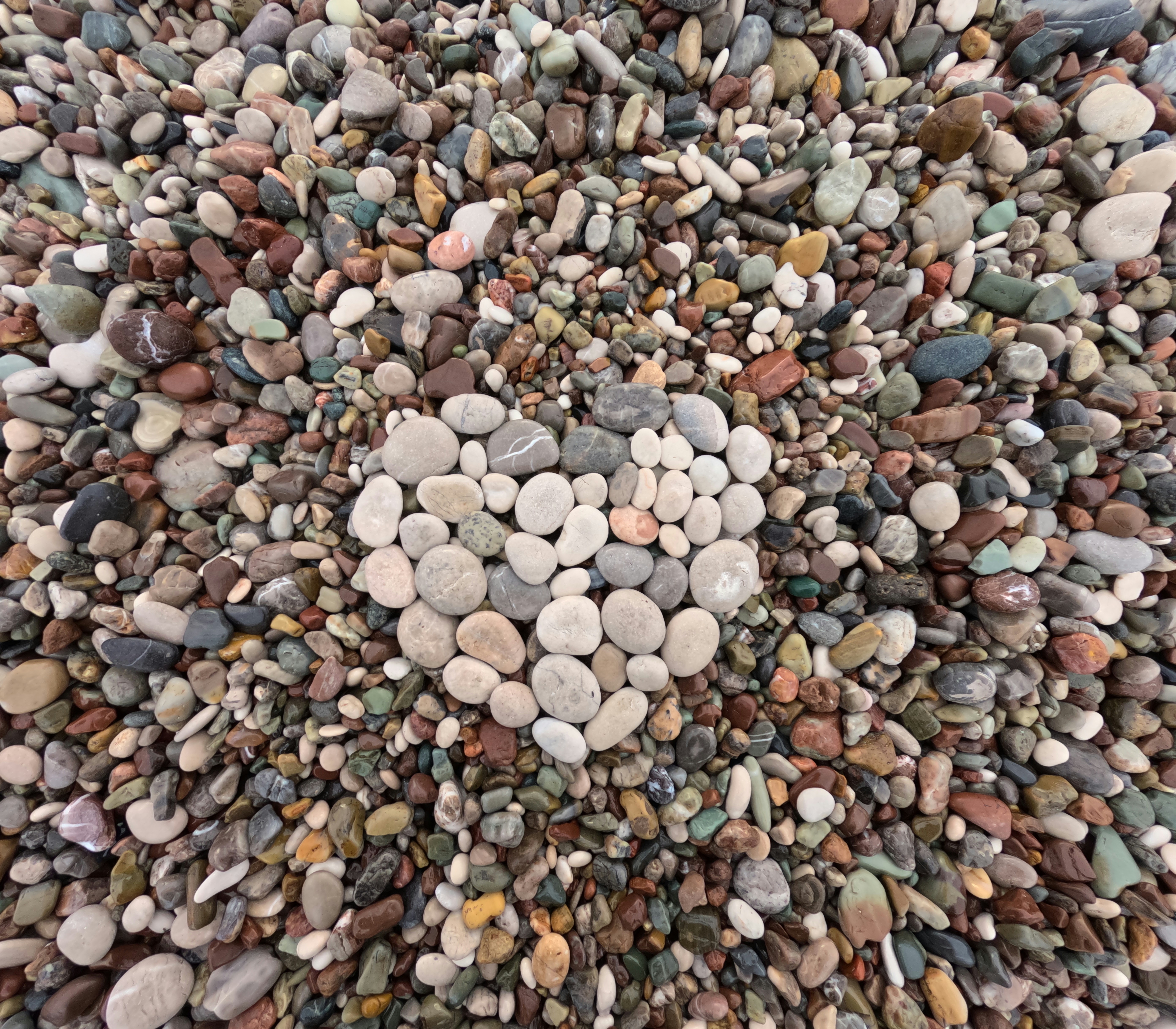 Pebble Heart on a Meadow of Stones