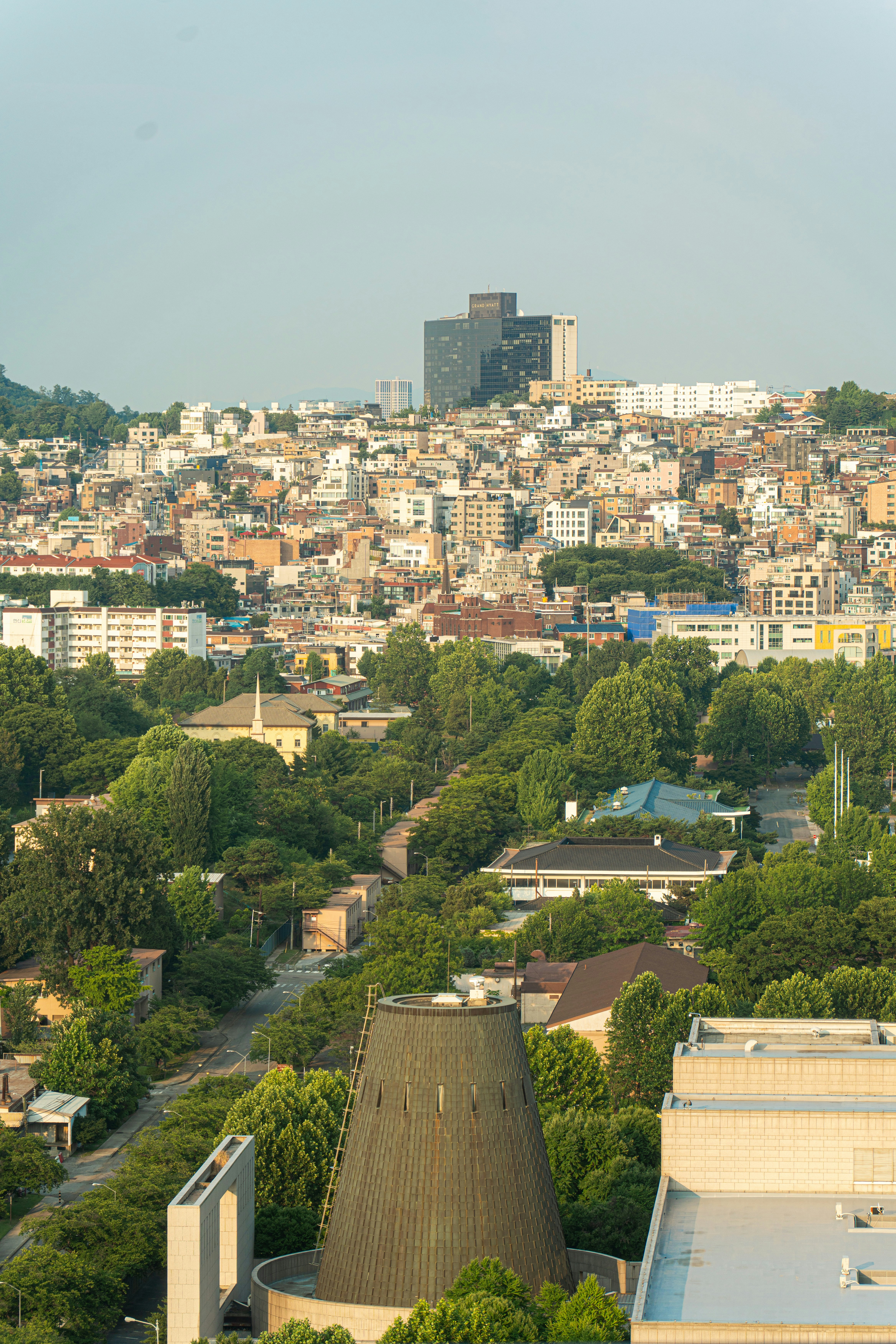 Urban Treetops: A Cityscape Doubling as a Green Horizon