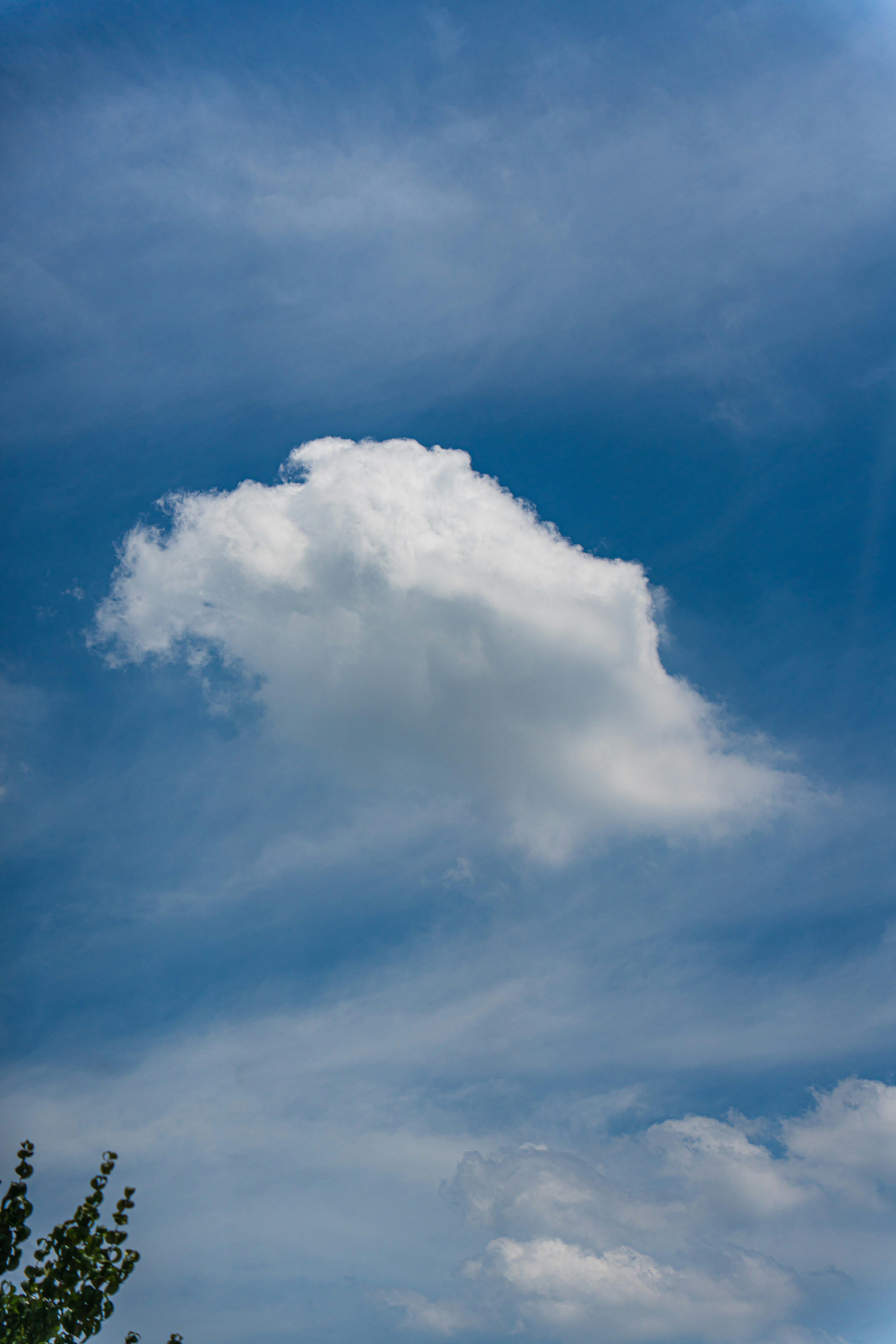 Cumulus Whisper Over an Expansive Blue Quiet