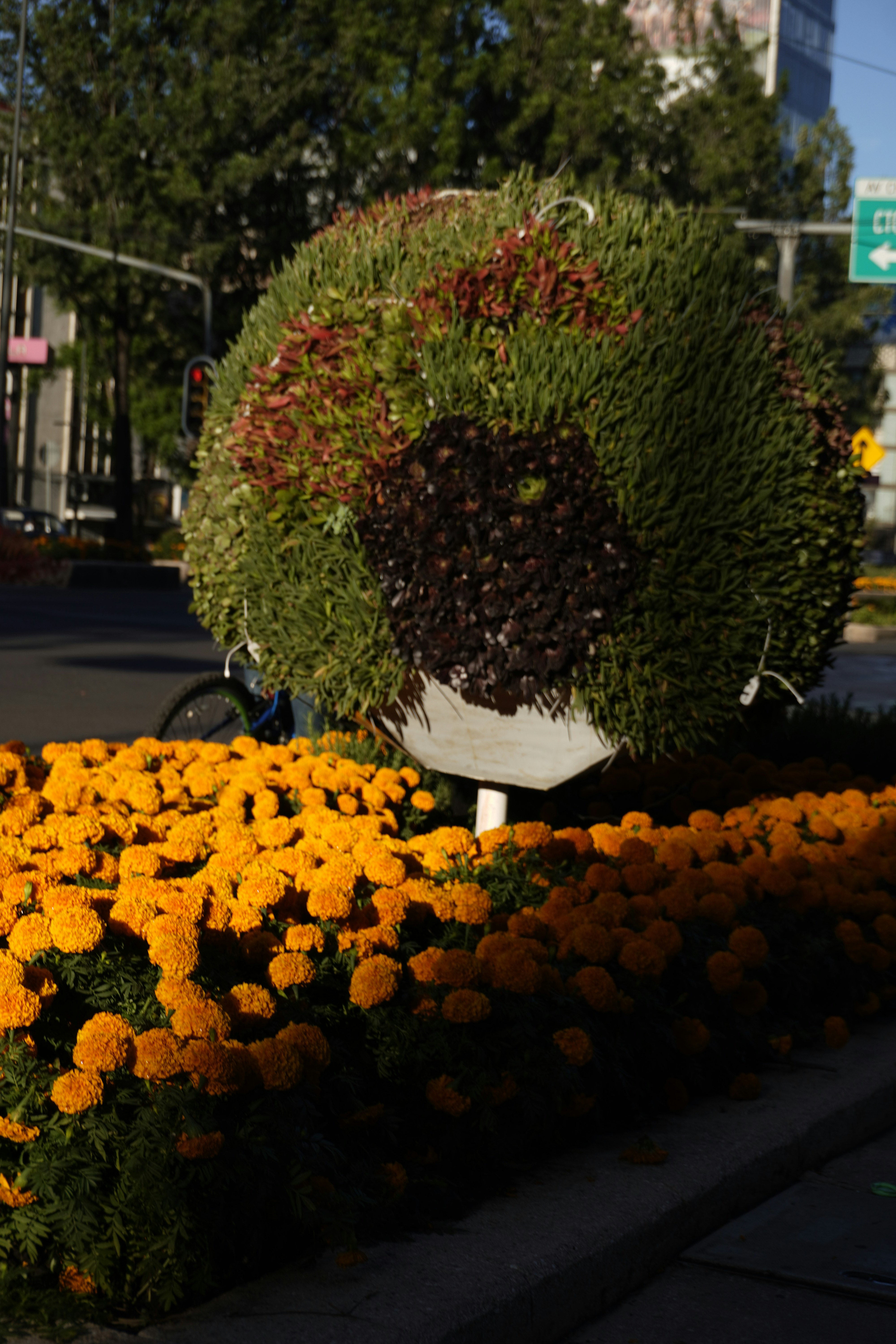 Photo by mauricio yair bautista perez with Sony ZV-E10