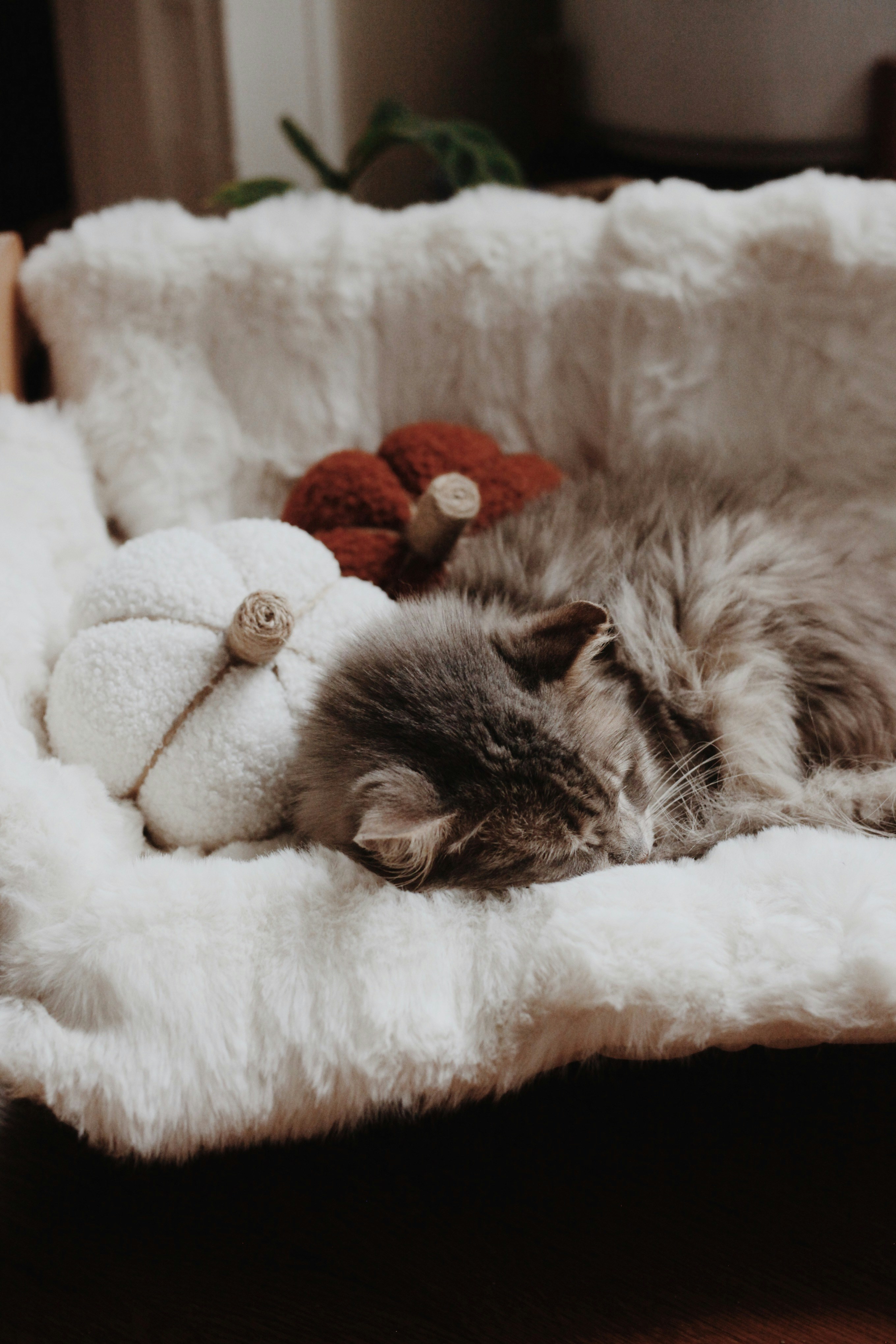 Soft Slumber in a Plush Nest