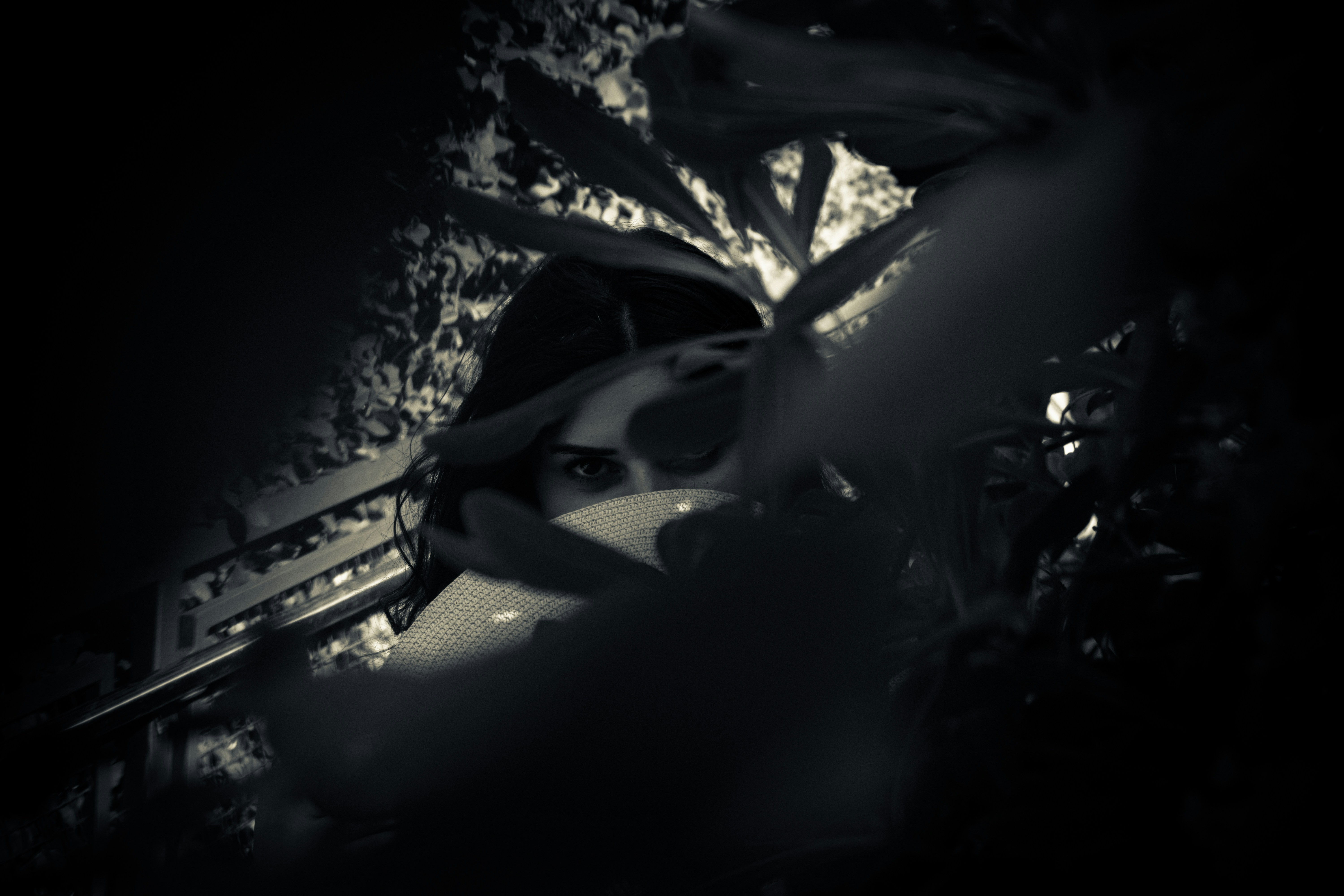 Hidden Gaze in the Shadowed Foliage