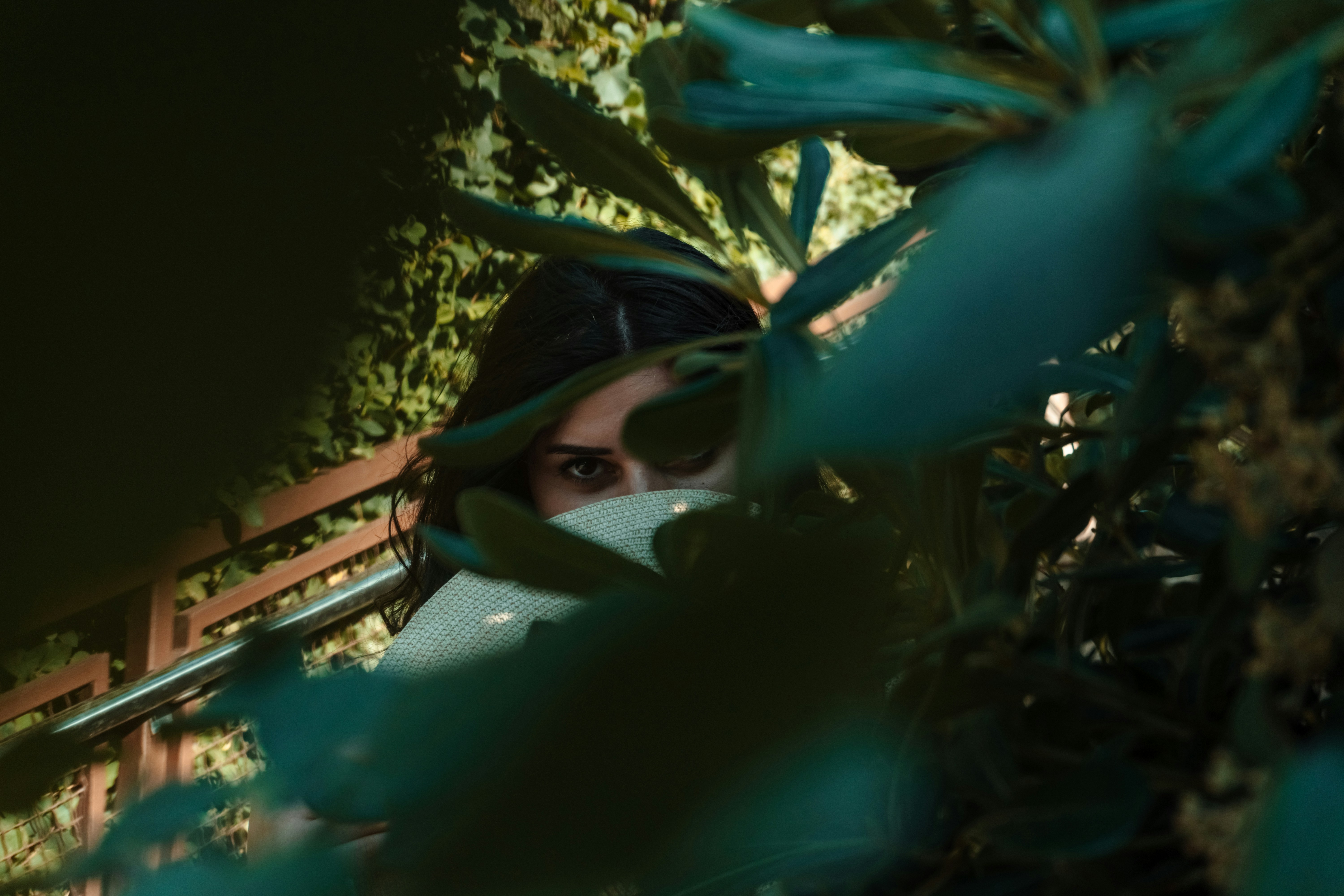 Veiled Gaze Through the Green Veil