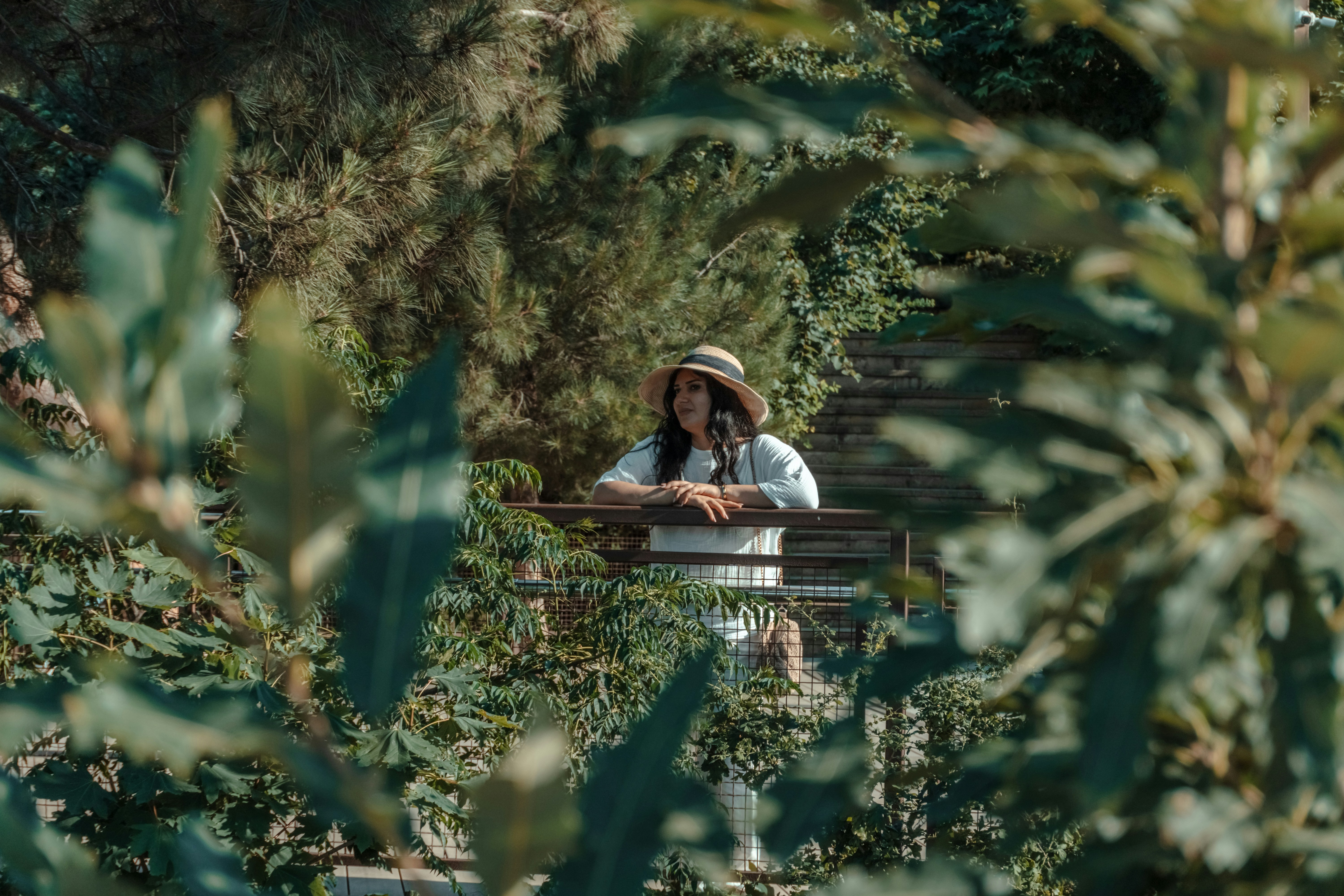 Quiet Botanist on a Bench: A Moment Hidden in the Green Corridor