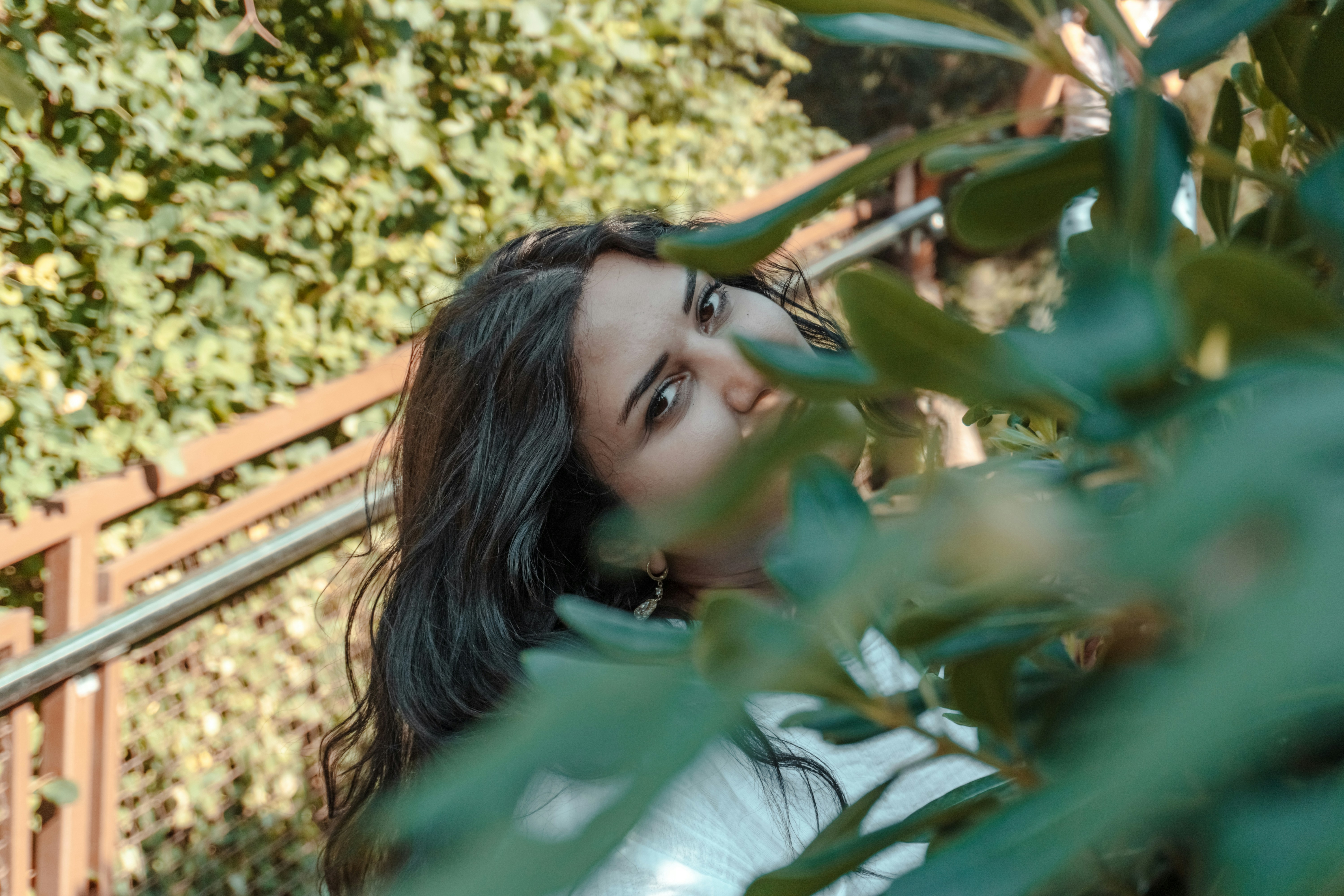 Partial Glimpse: A Quiet Portrait Peeking Through Leaves