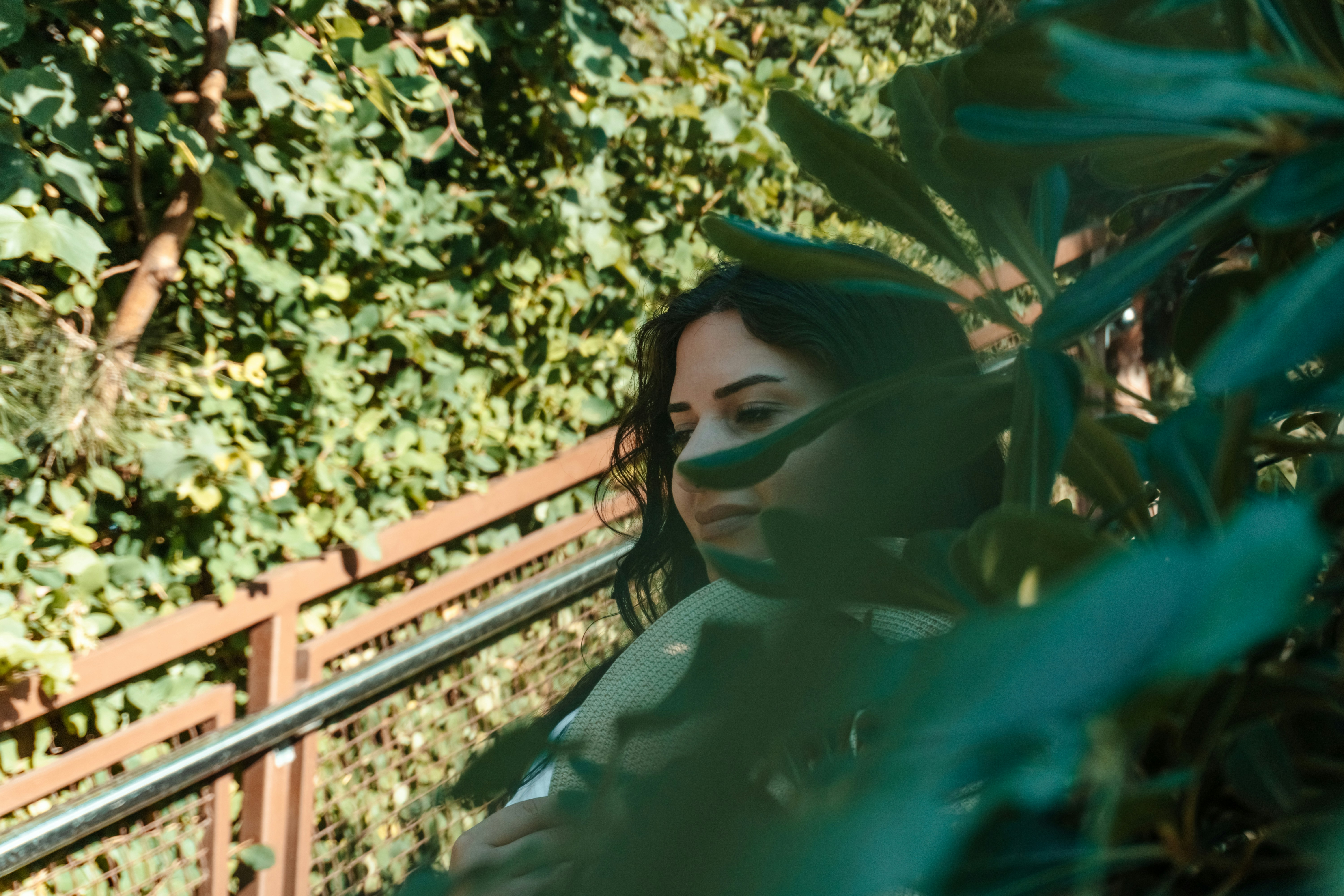 Partial Bloom: A Quiet Portrait Behind the Foliage