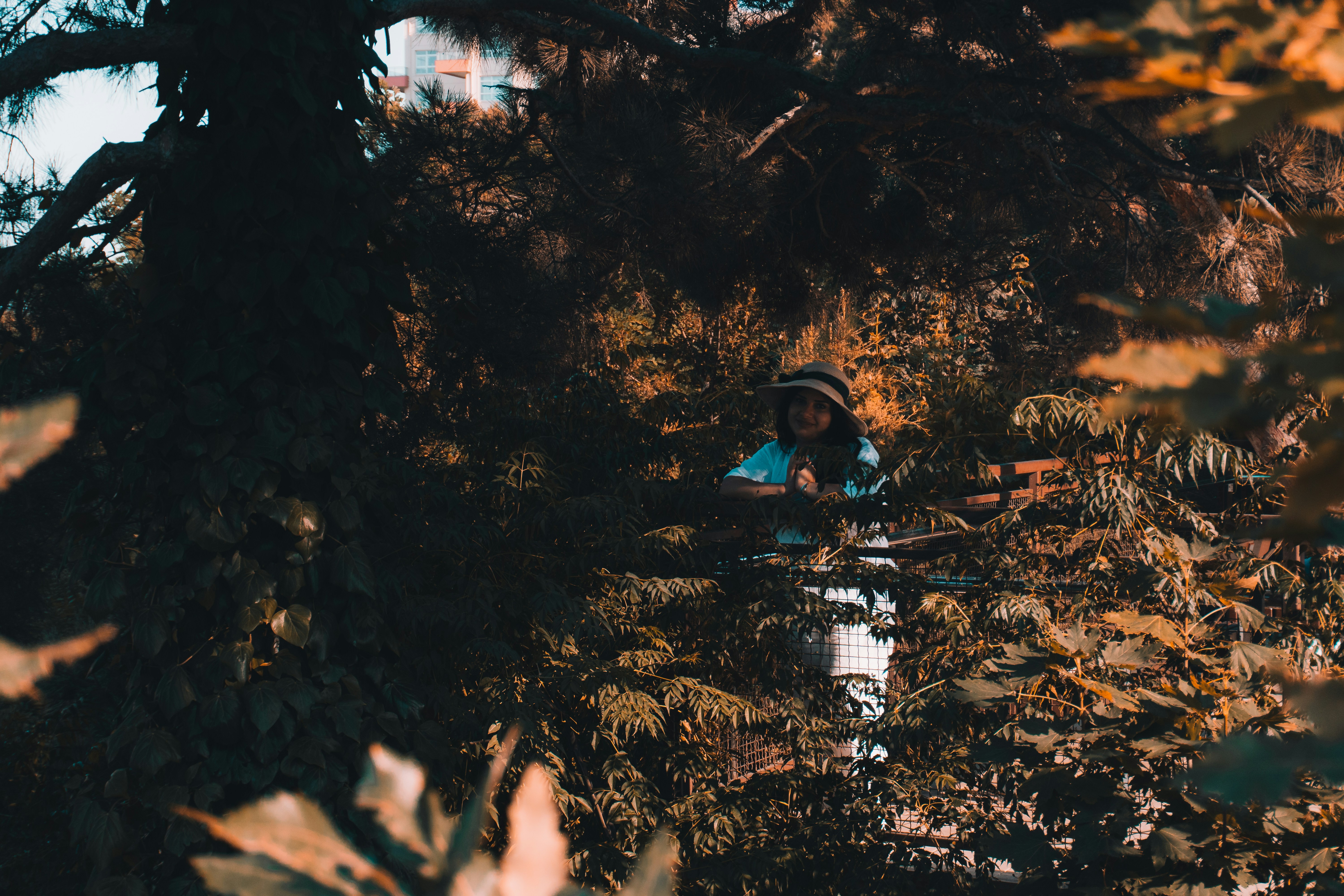 Hidden Portrait: A Quiet Figure Among Autumn Ferns