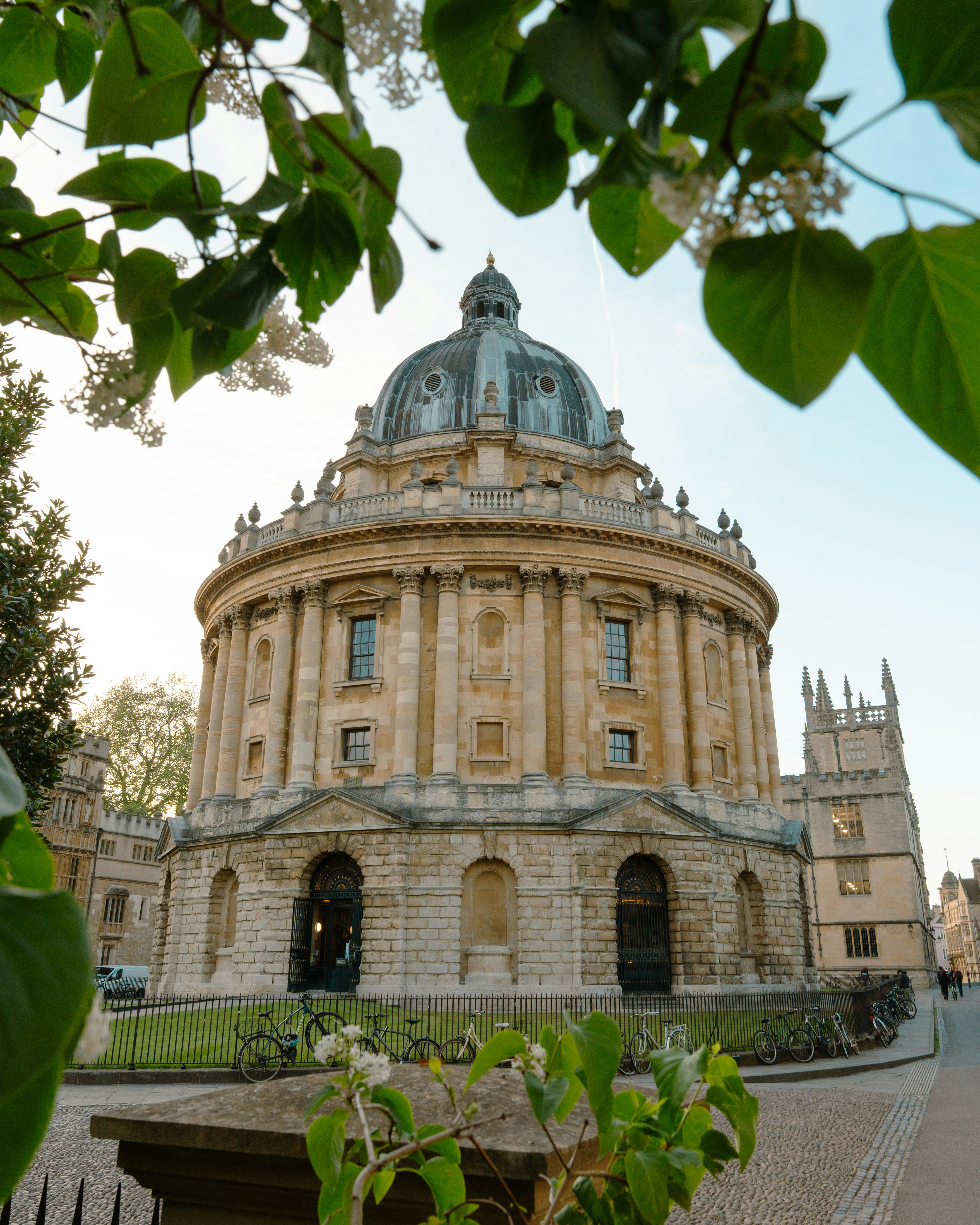 Stately Rotunda Brought to Light Under Framing Foliage