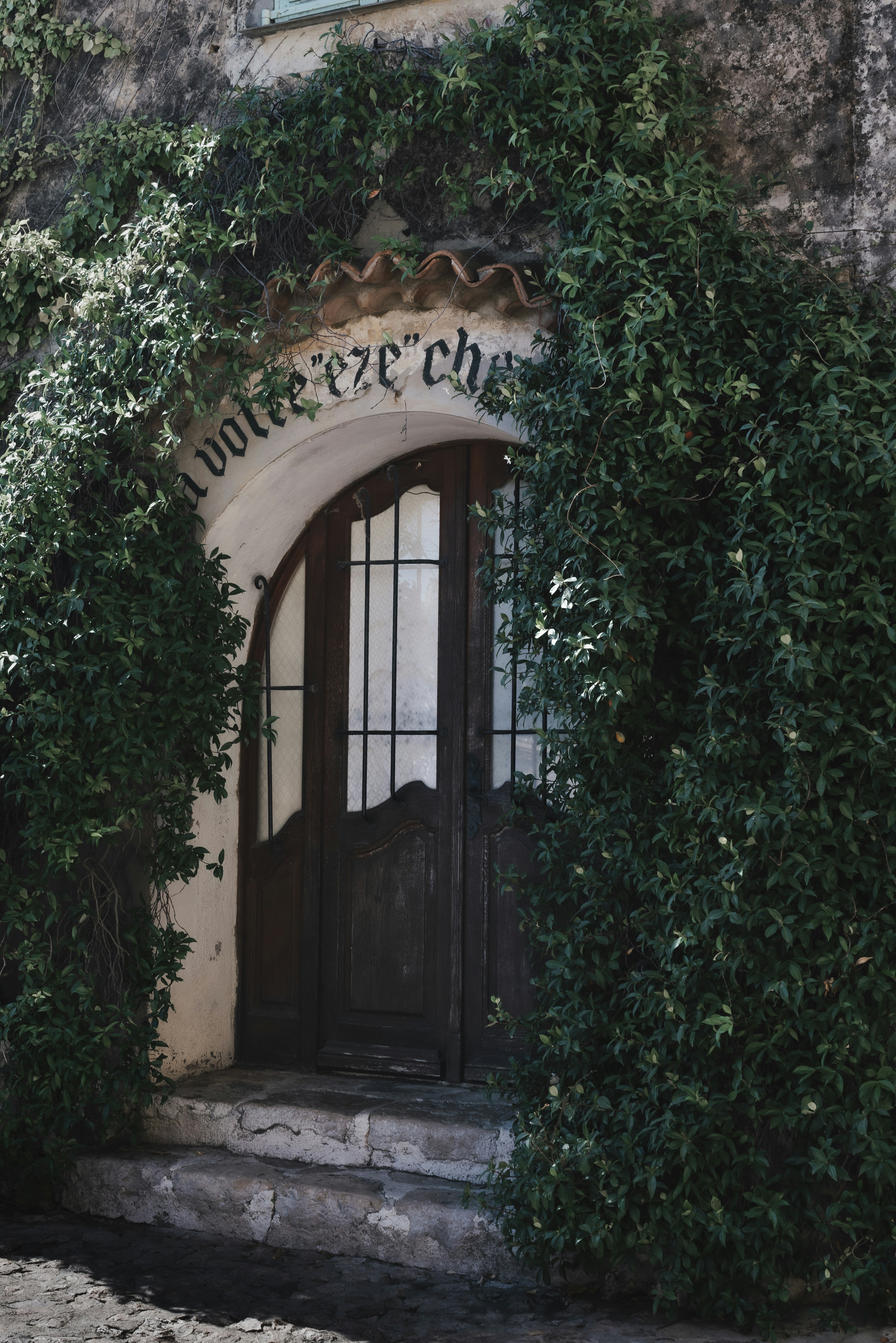 Ivied Archway and Weathered Doorway