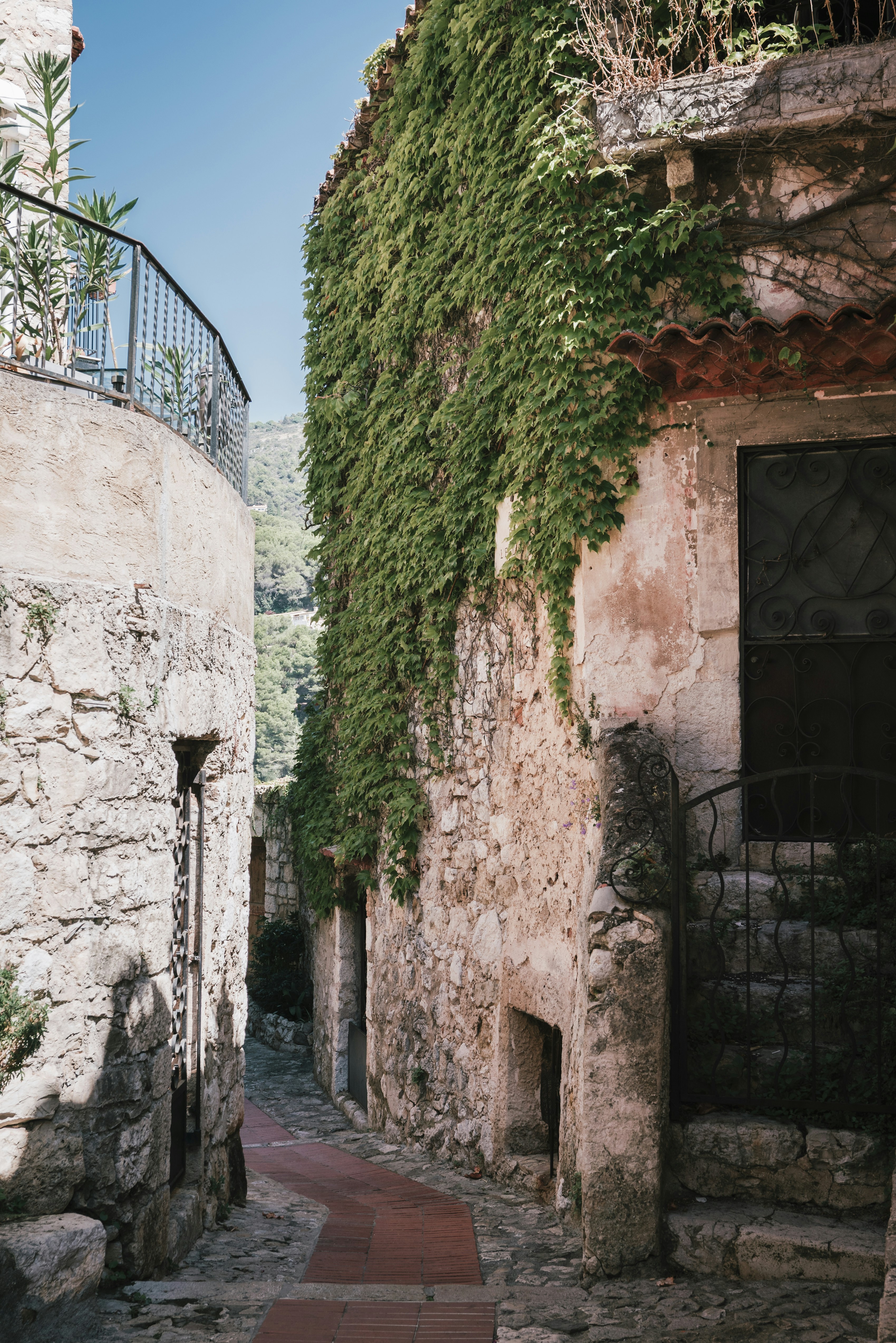 Ivy-Covered Alley Between Weathered Stones