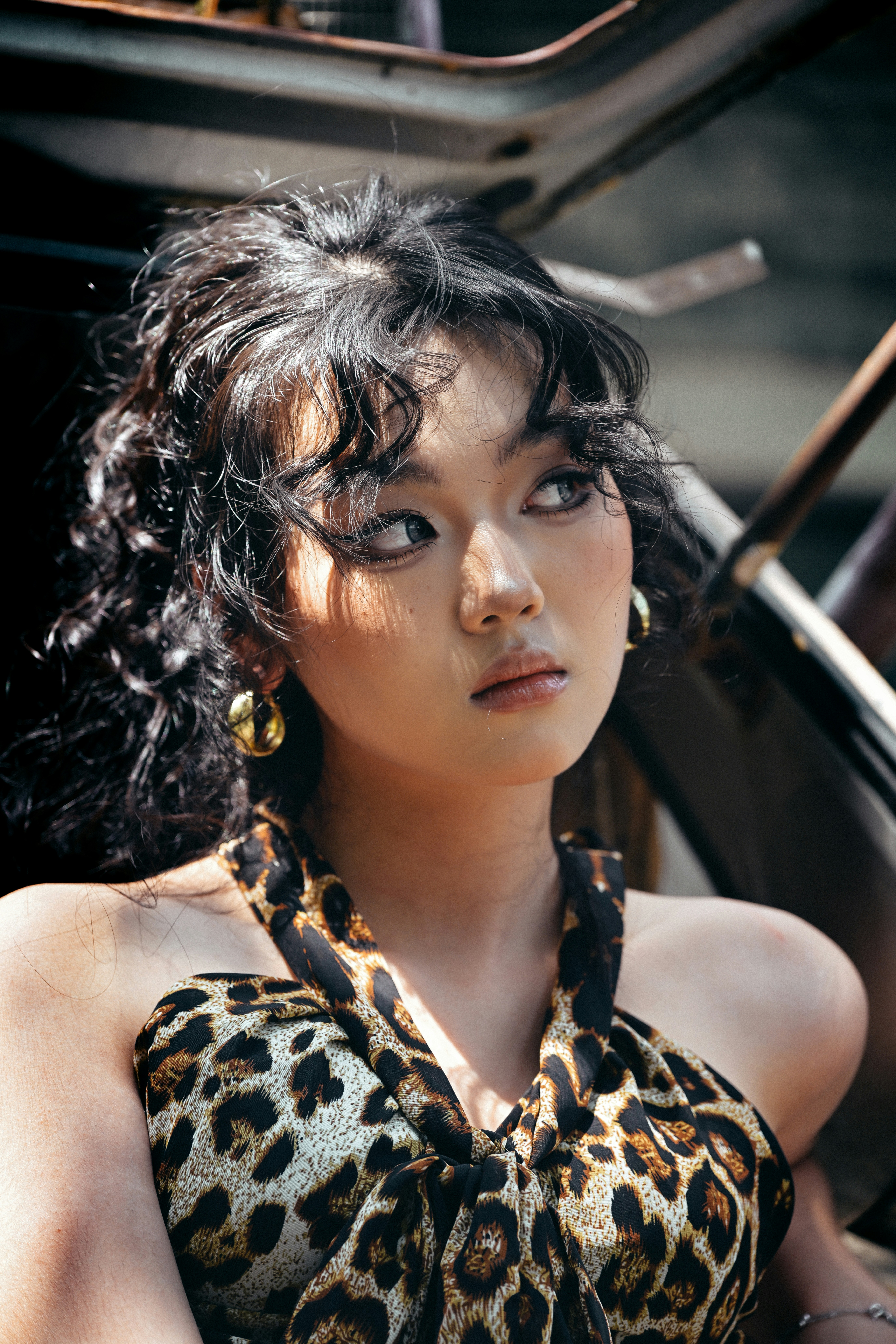 Leopard Echo: Portrait of Poise in Sunlit Amidst Rustic Metal