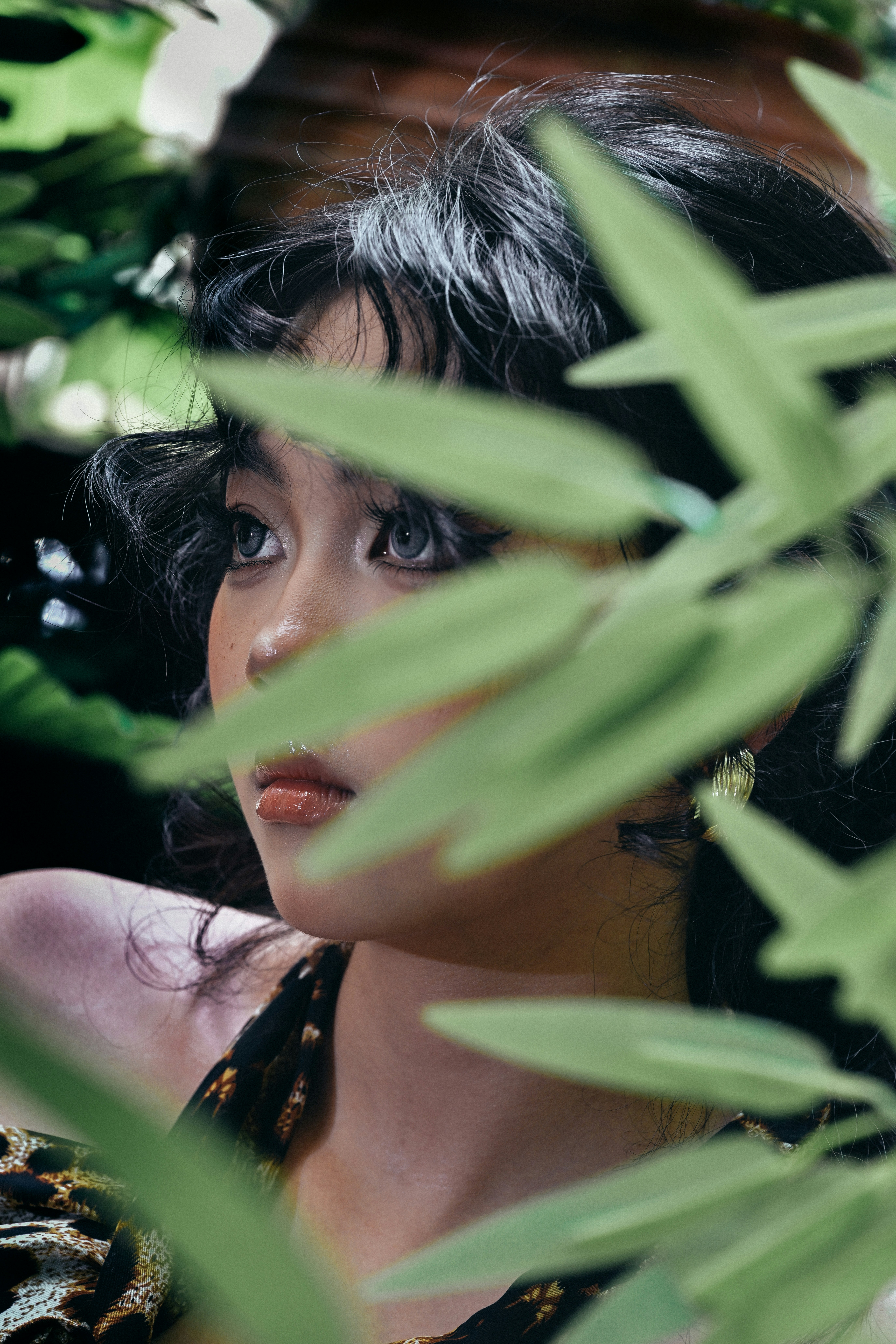 Behind the Leaves: A Quiet Glance