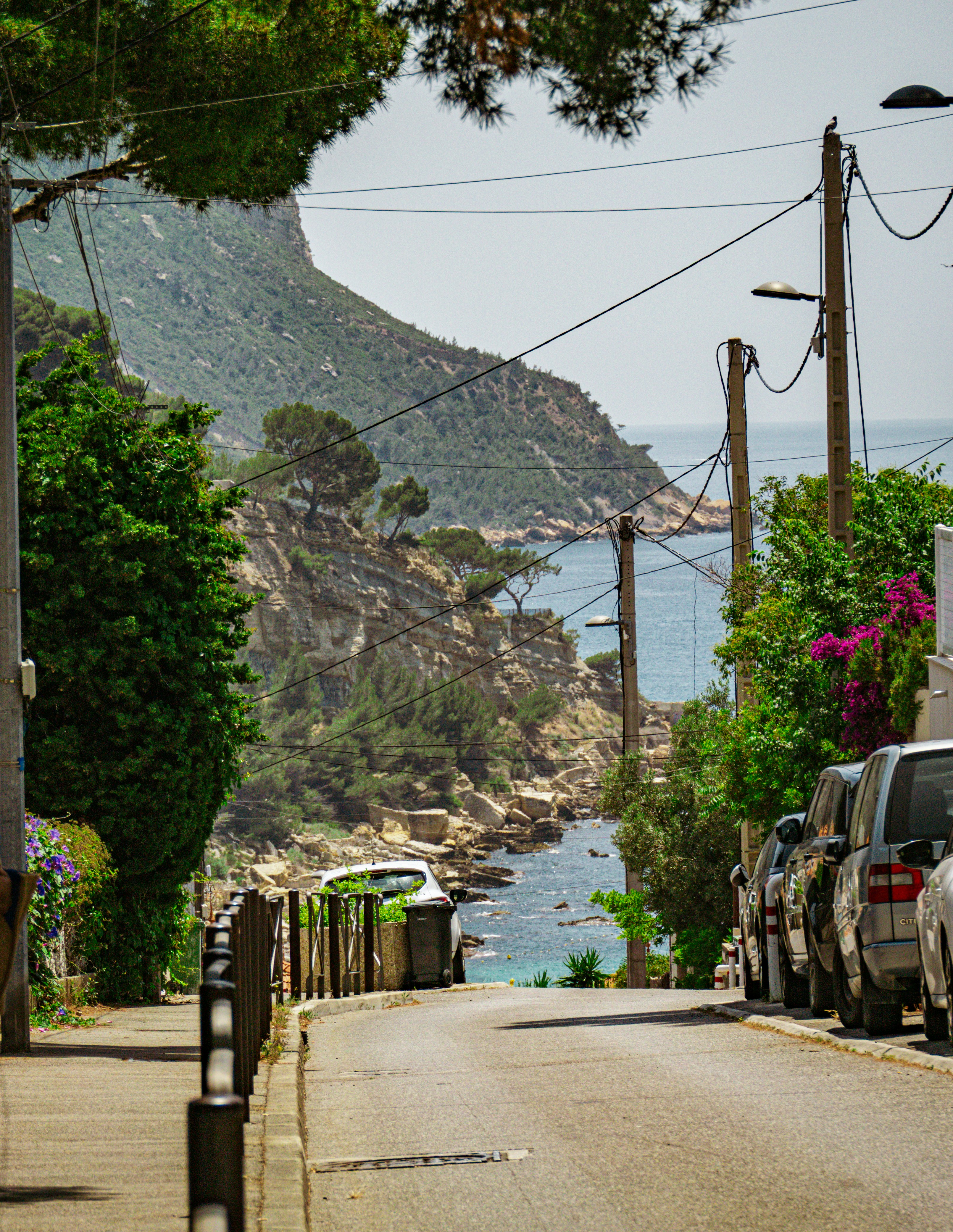 Coastal Street Framed by Olive Trees and Power Lines