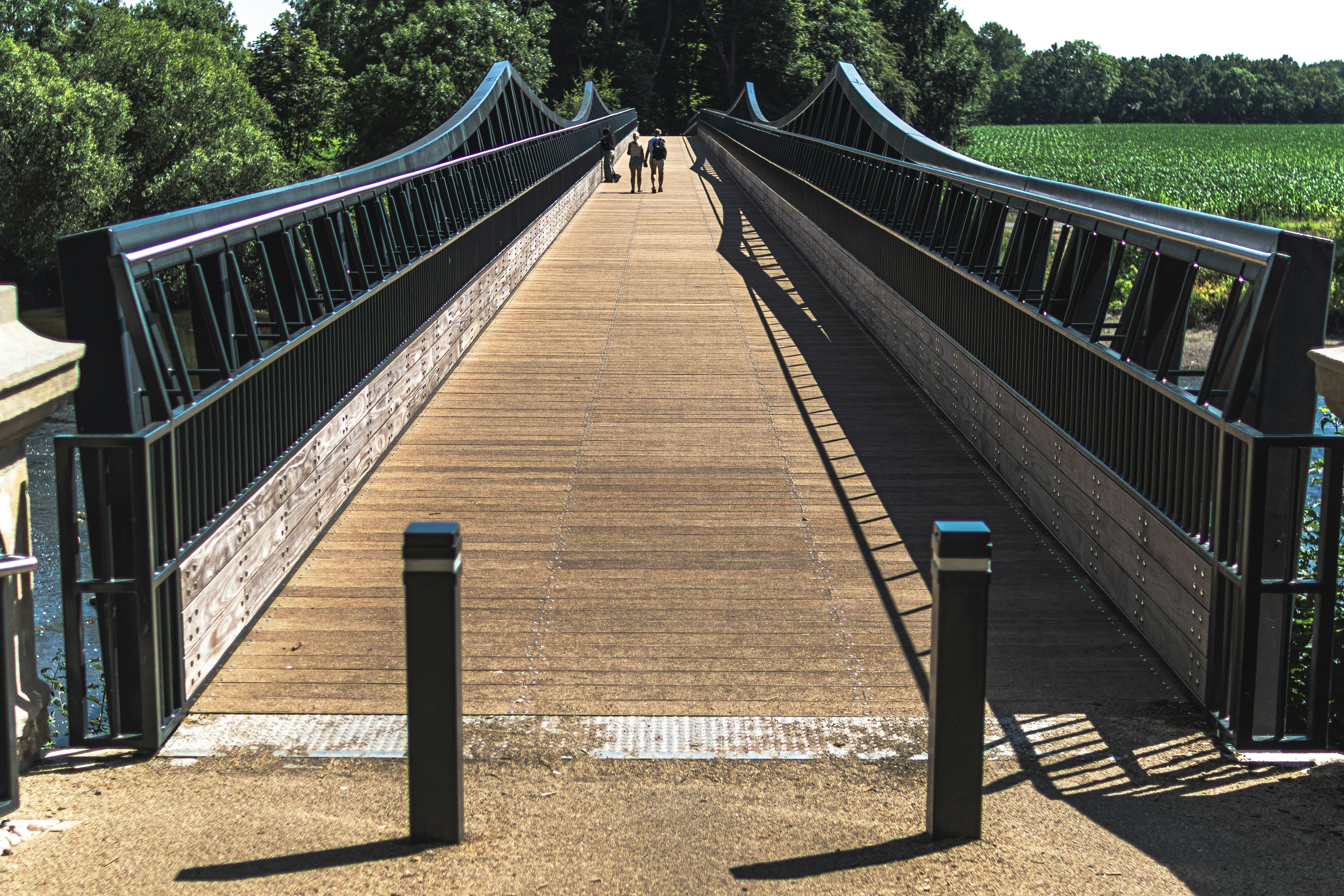 Bridge to the Far Green: a sunlit walkway over calm water