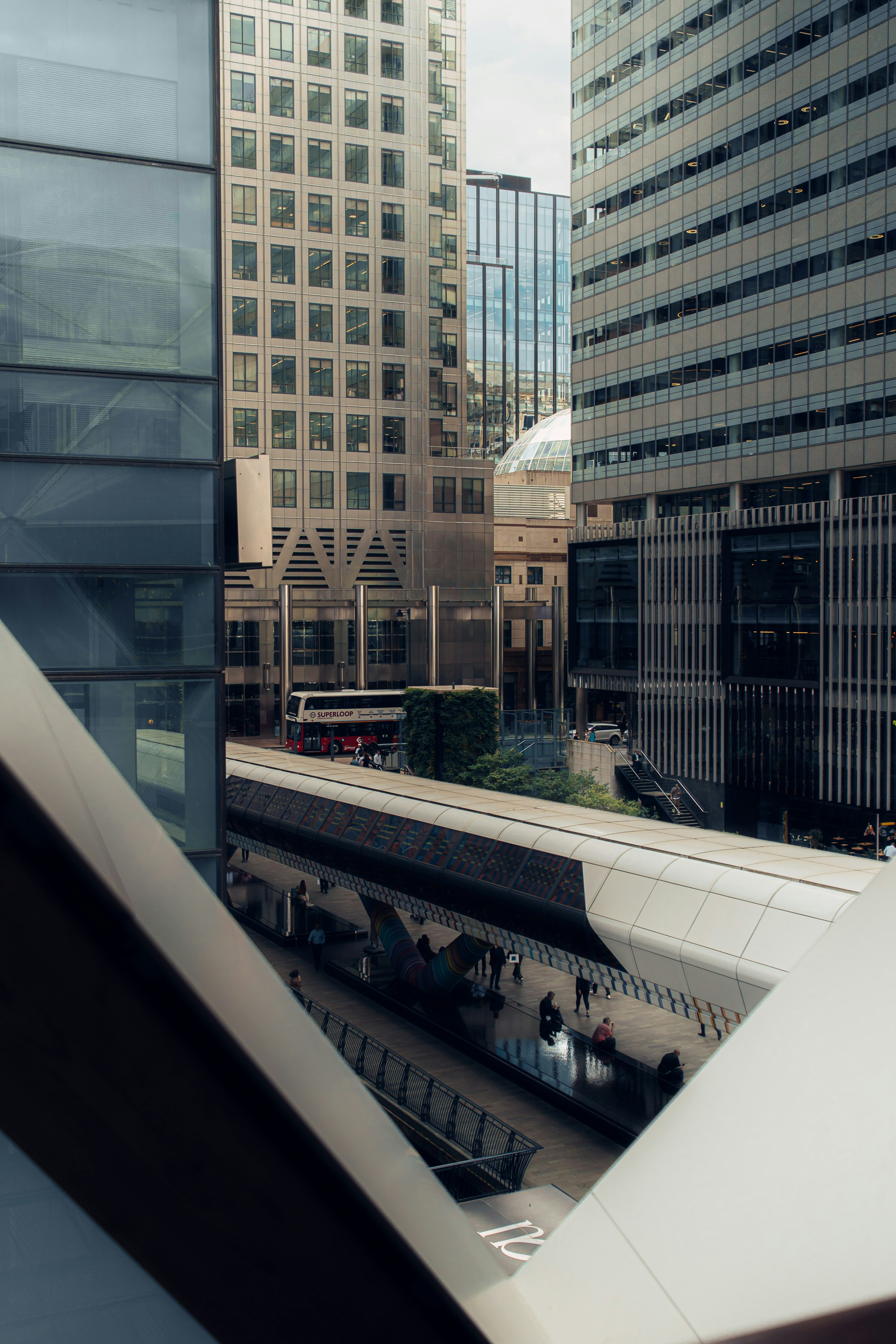 Urban Canopy: A Walk Through Glass and Steel