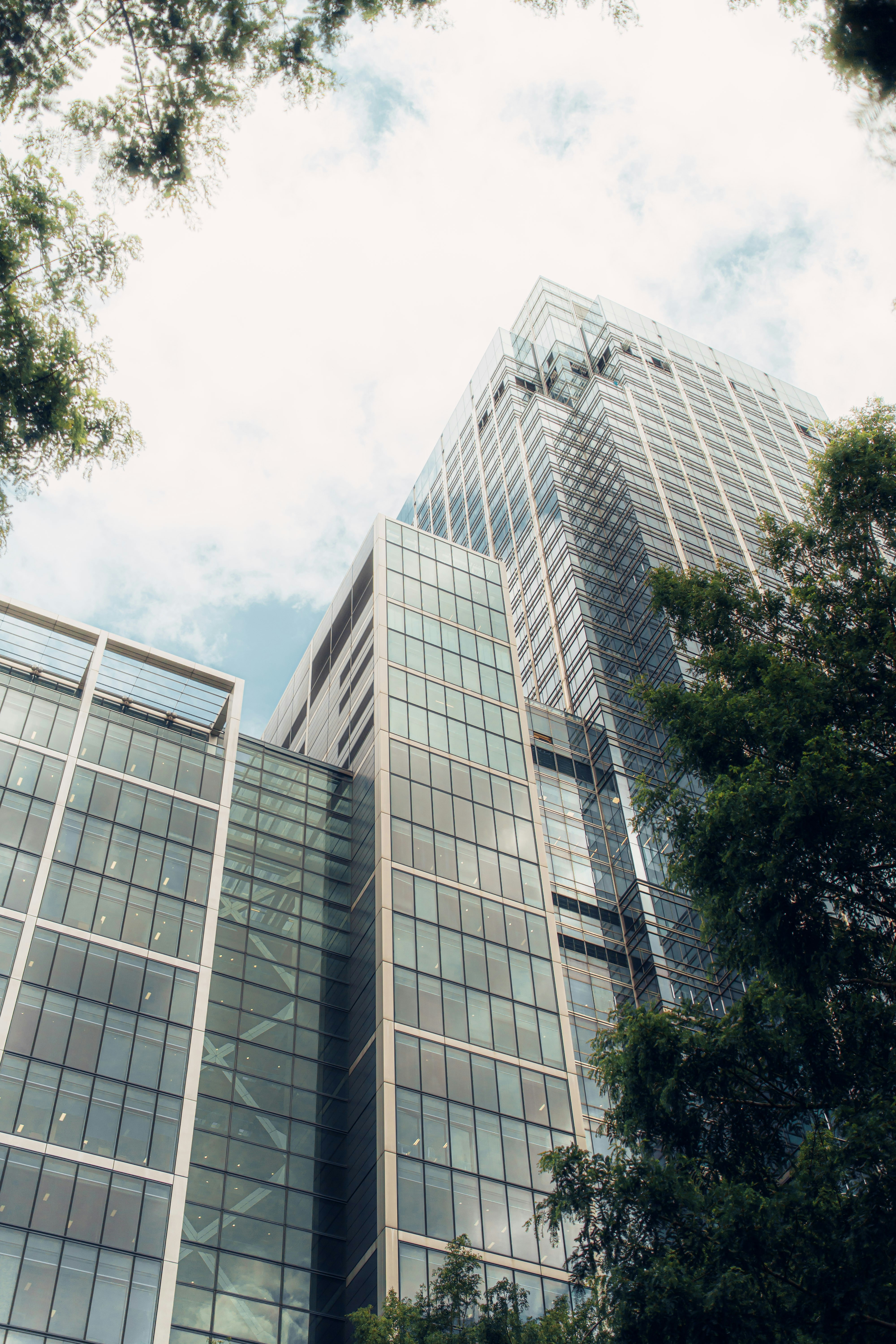 Skyward Glass: A Tower Reaching Toward the Blue