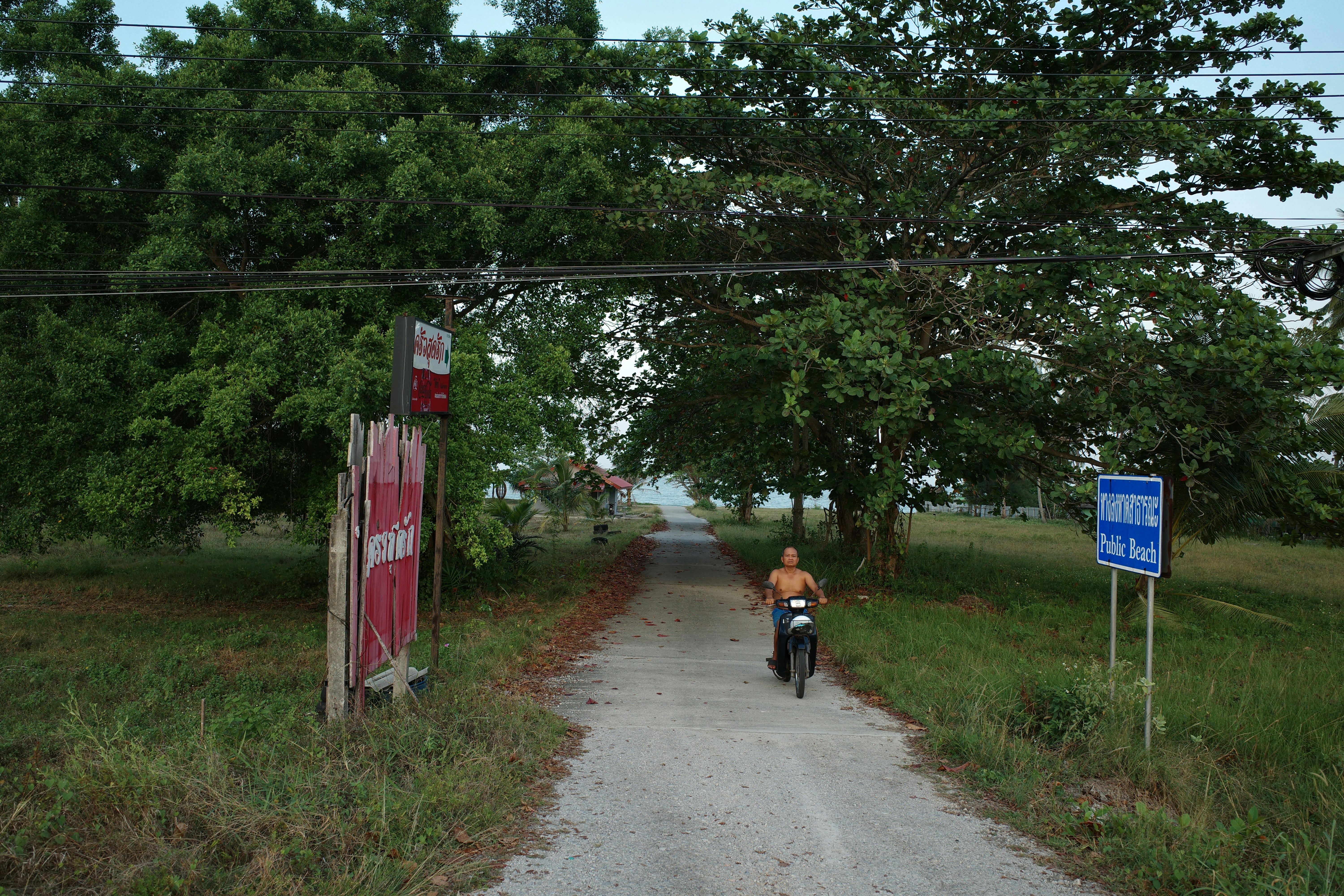 Dusty rural path with a lone motorcyclist fading into the trees