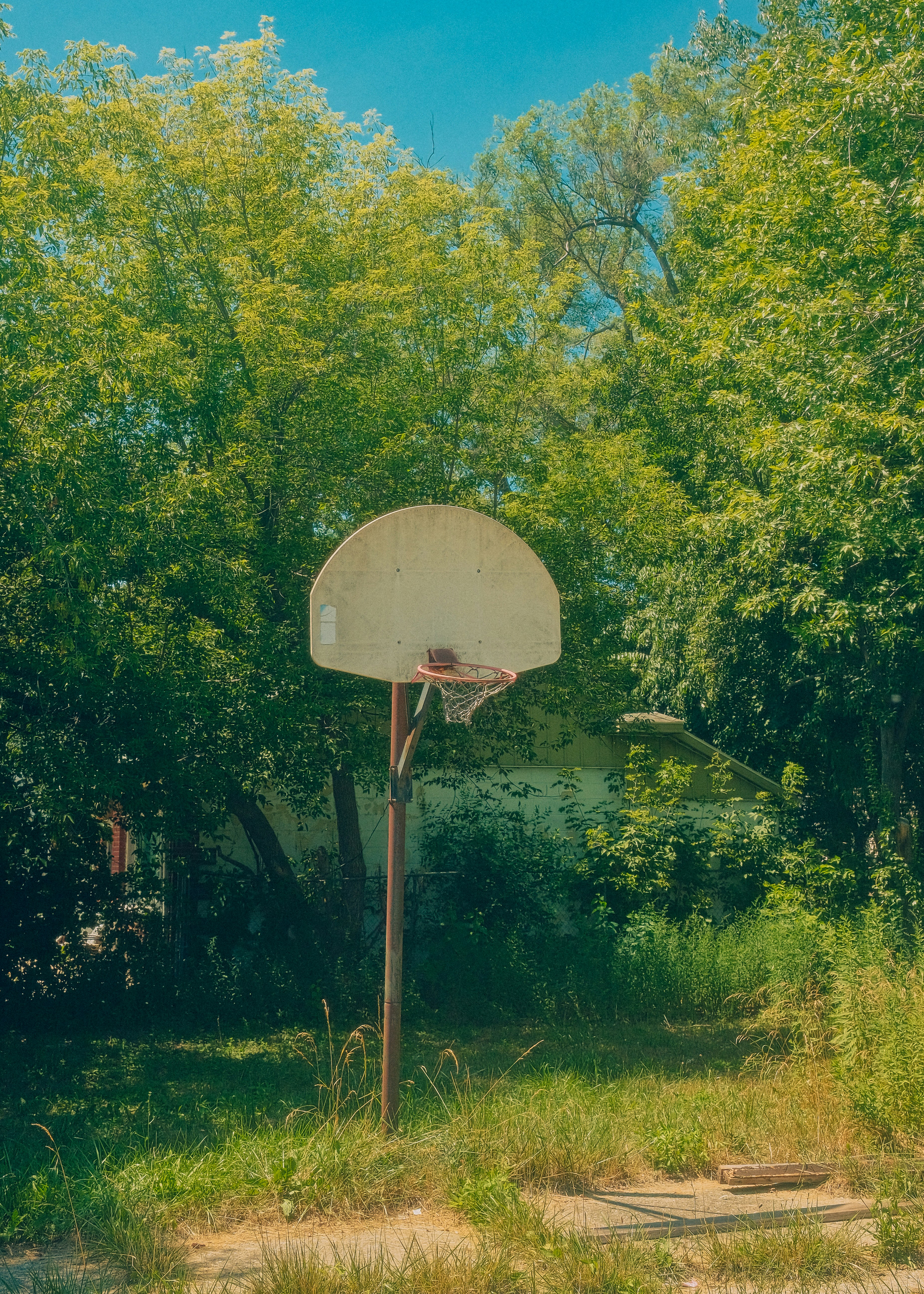 A Quiet Court on a Sunny Afternoon