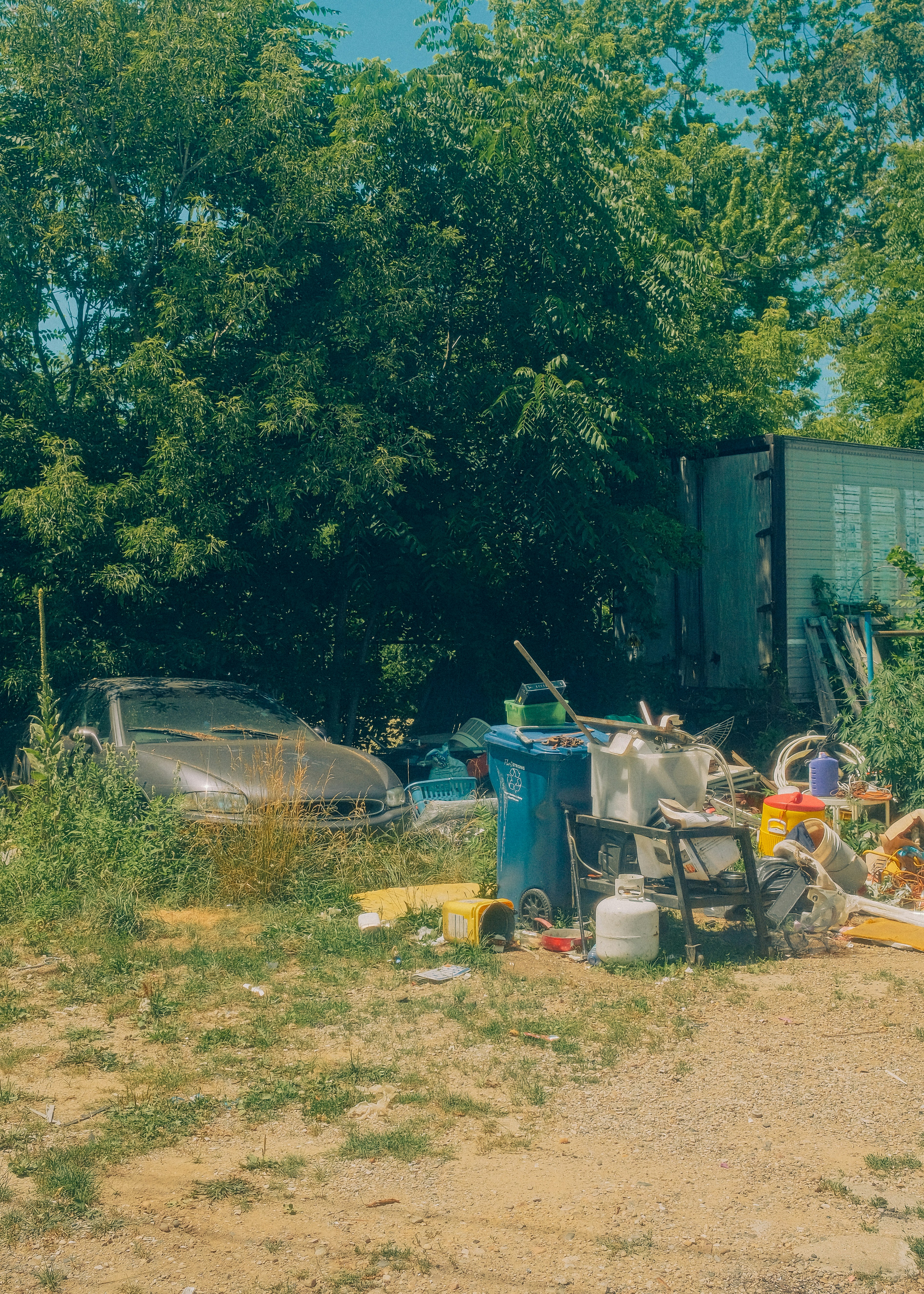 Midday Junkyard Quiet: Sunlit Clutter and Hidden Greenery