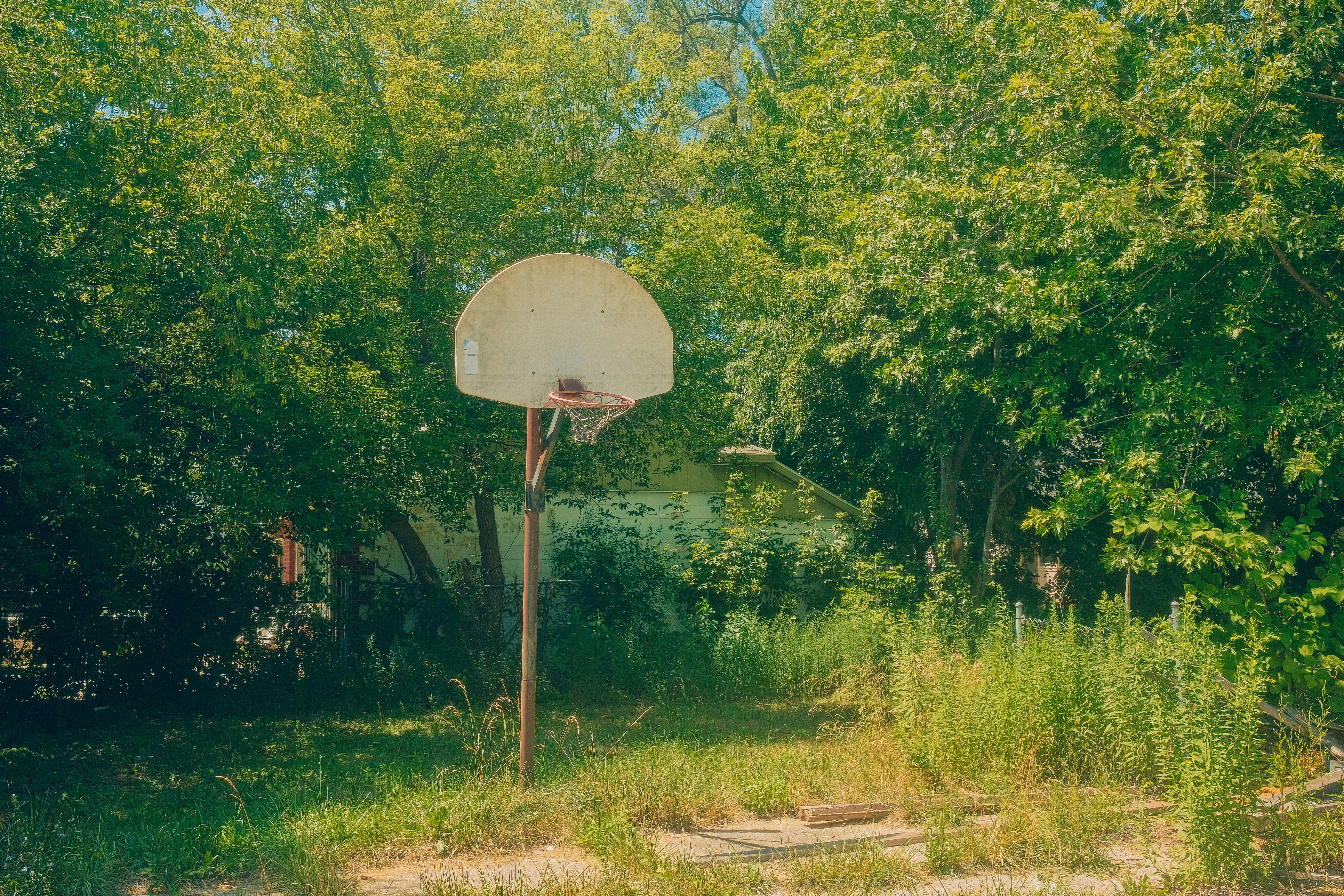 Overgrown Court: Weathered Hoop Among Quiet Greenery