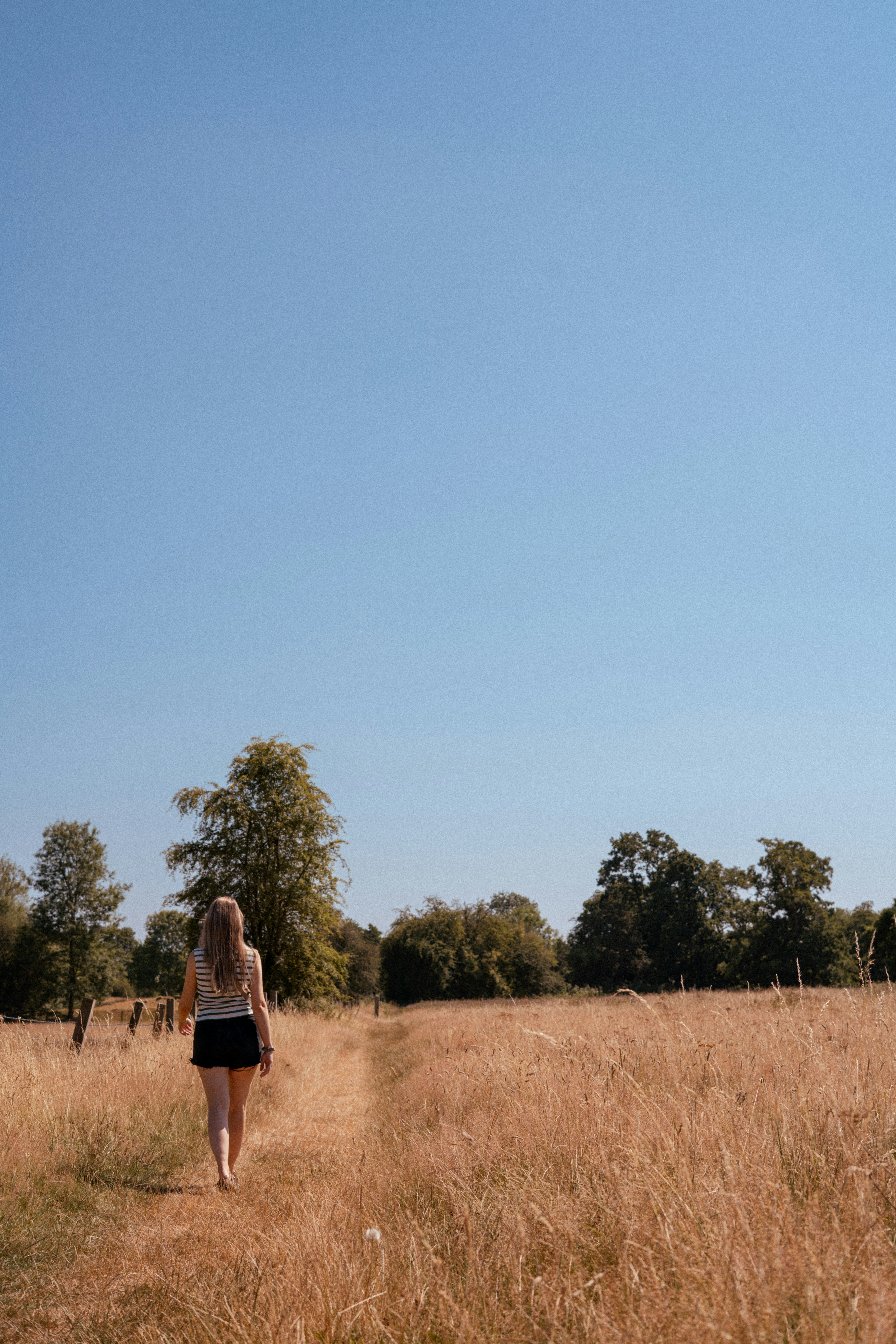 A Solitary Wanderer Steps Into the Open Meadow