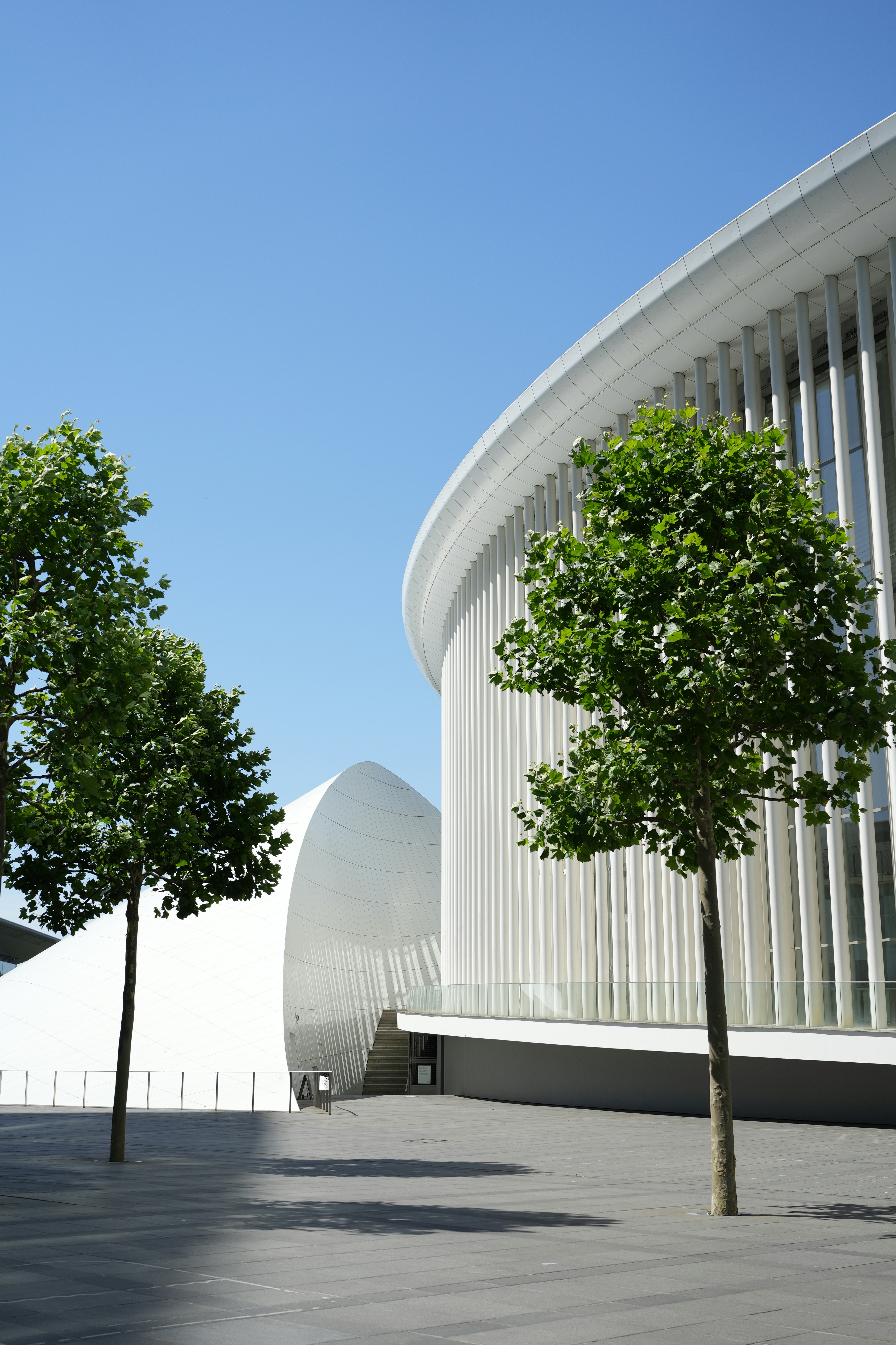 Architectural Rhythm: White Curves and Green Canopies