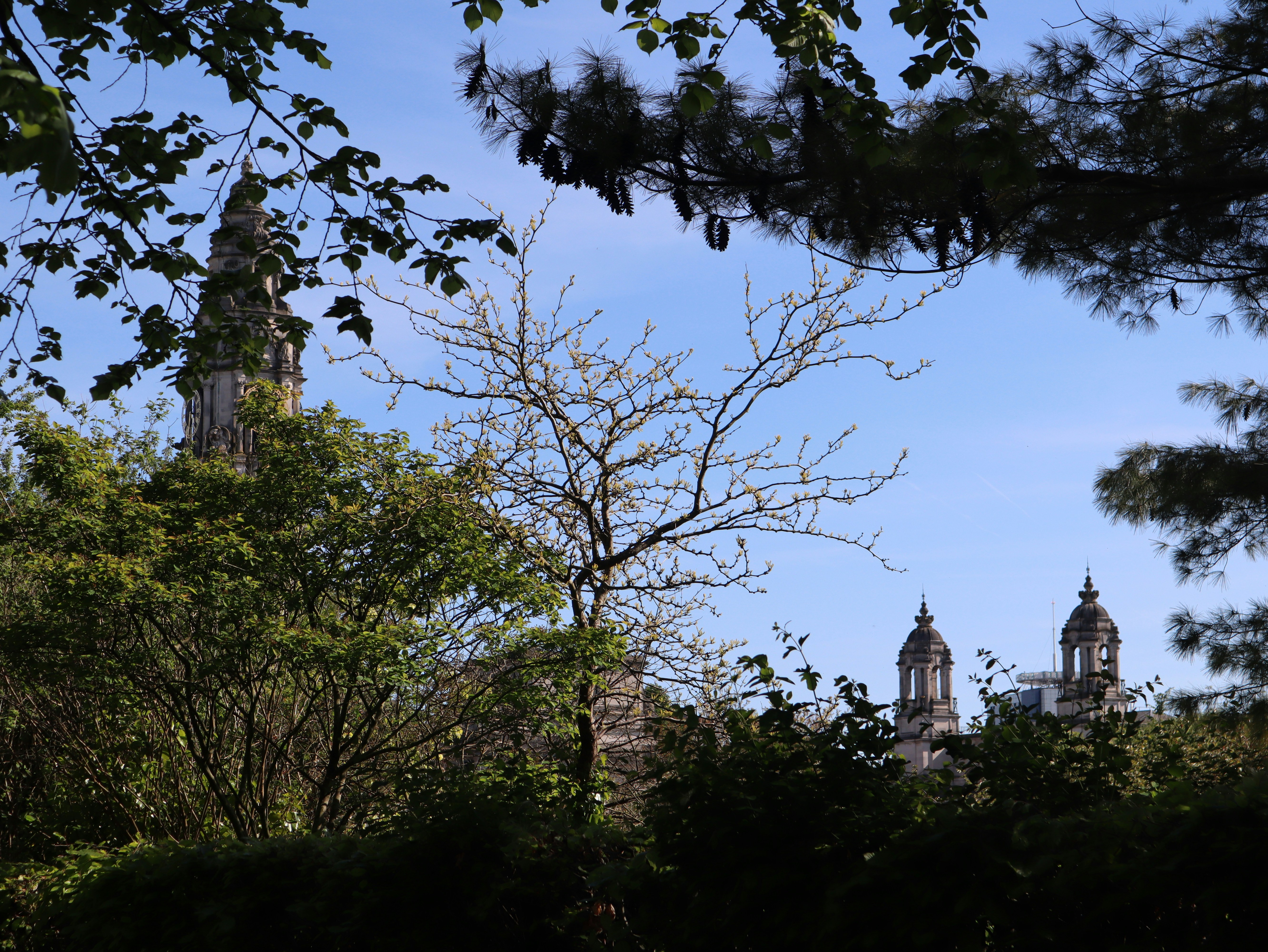City Towers in a Quiet Garden