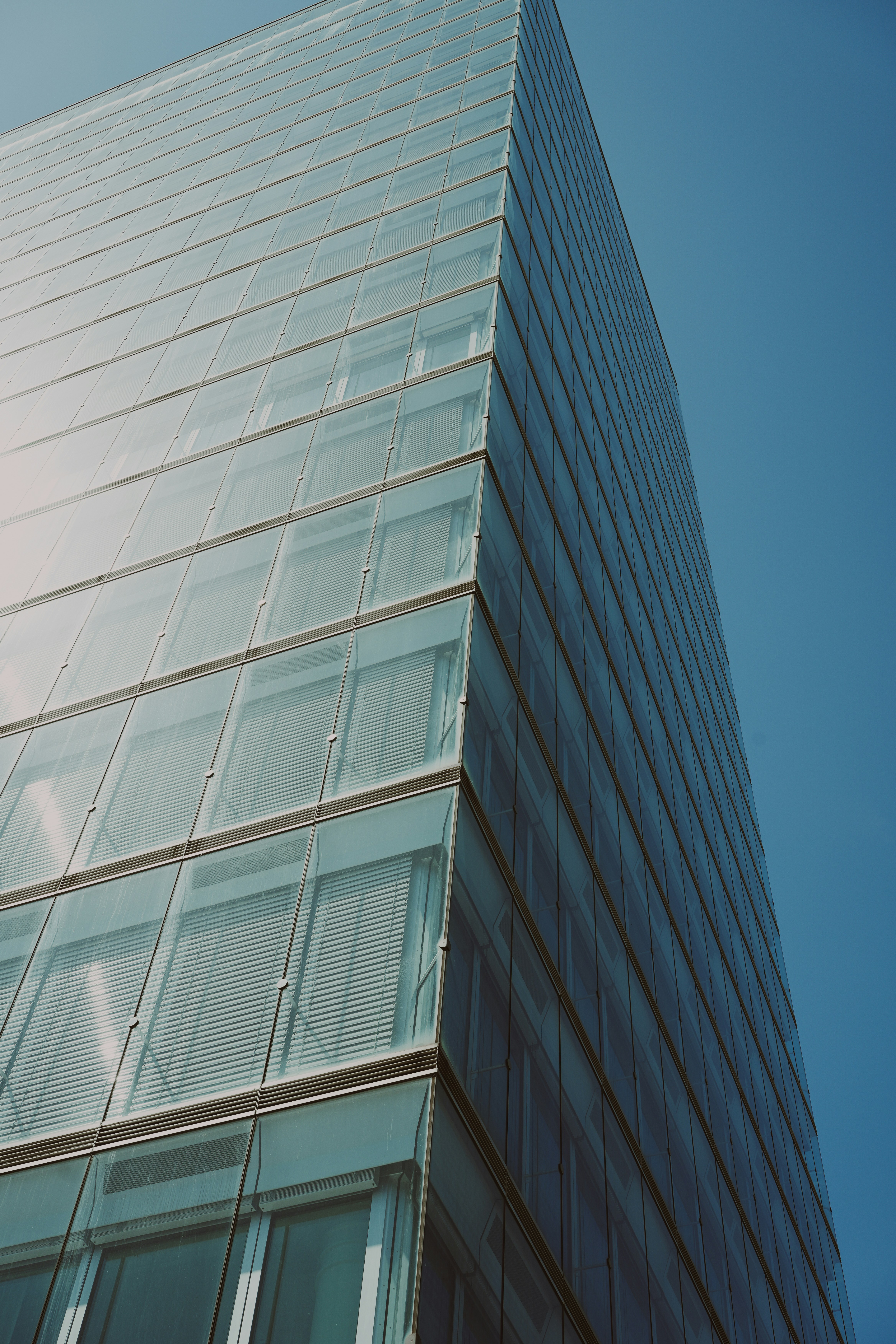 Glass Facade Ascend: A Modern Tower Reaching the Sky