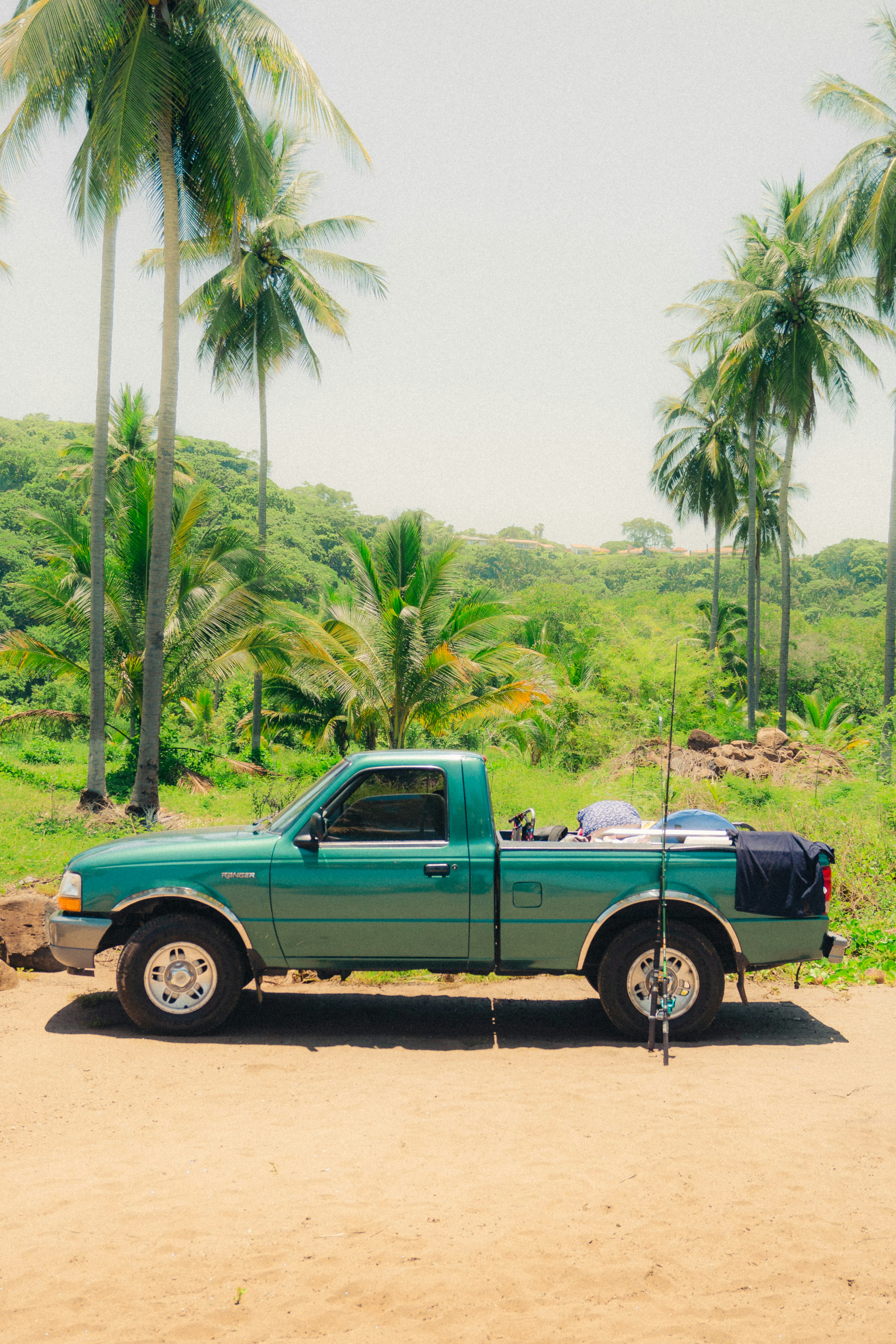 Green Bench on the Savannah: A Lone Pickup Under Palm Canopies