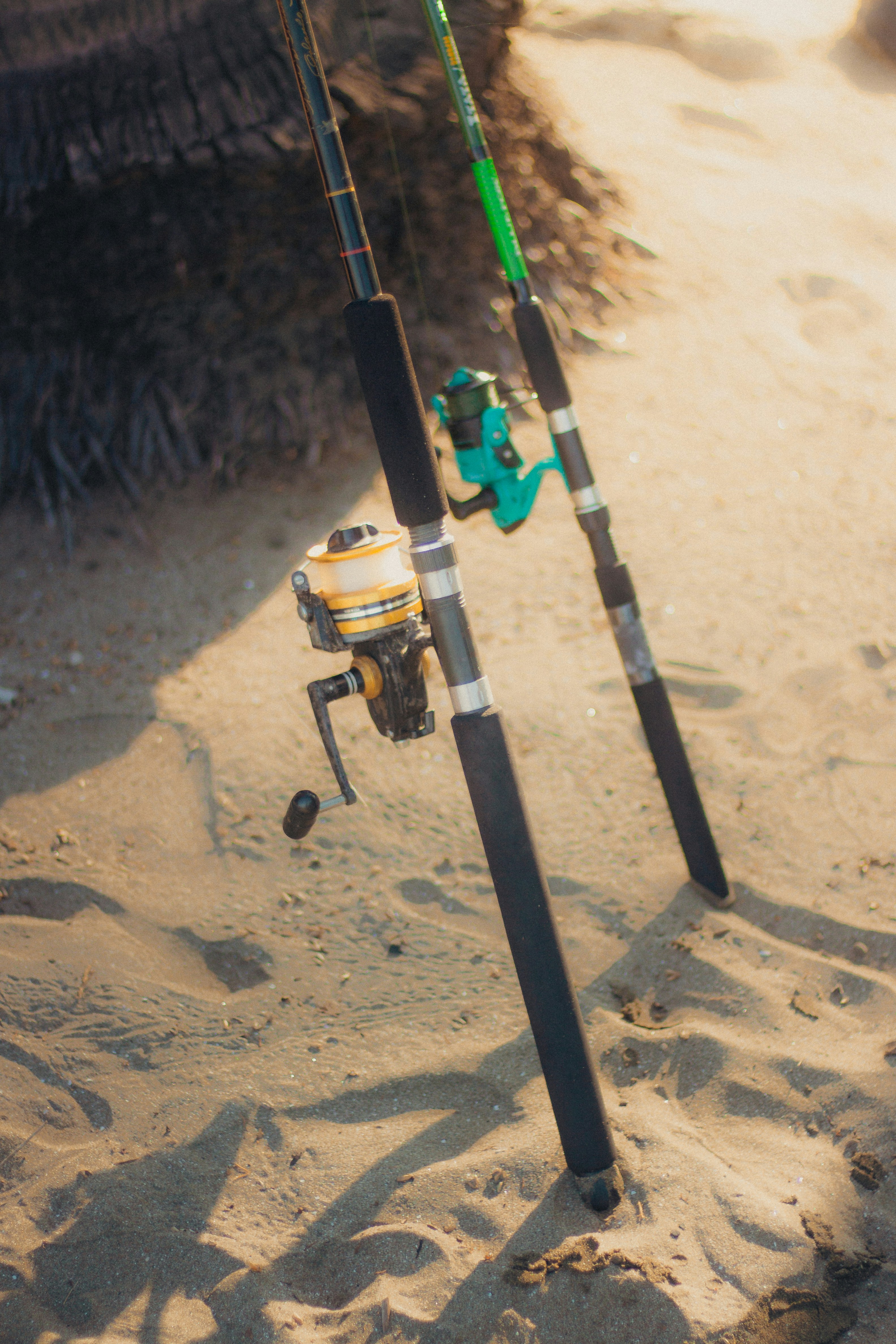 Tide of Silence: A Duo of Fishing Rods Stand Guard in Sandlight
