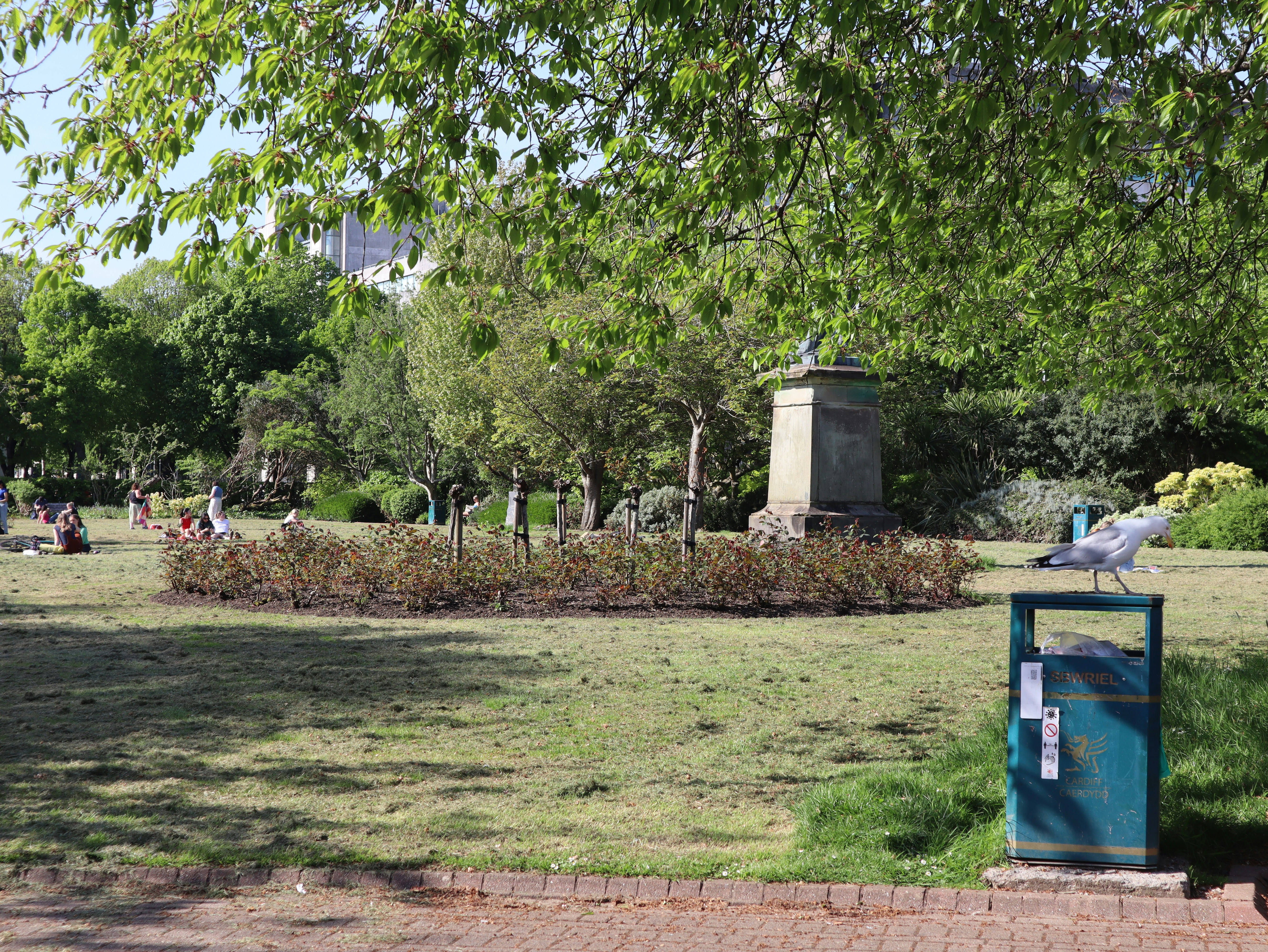 Seated in the Park: A Quiet Morning by the Bird Bath
