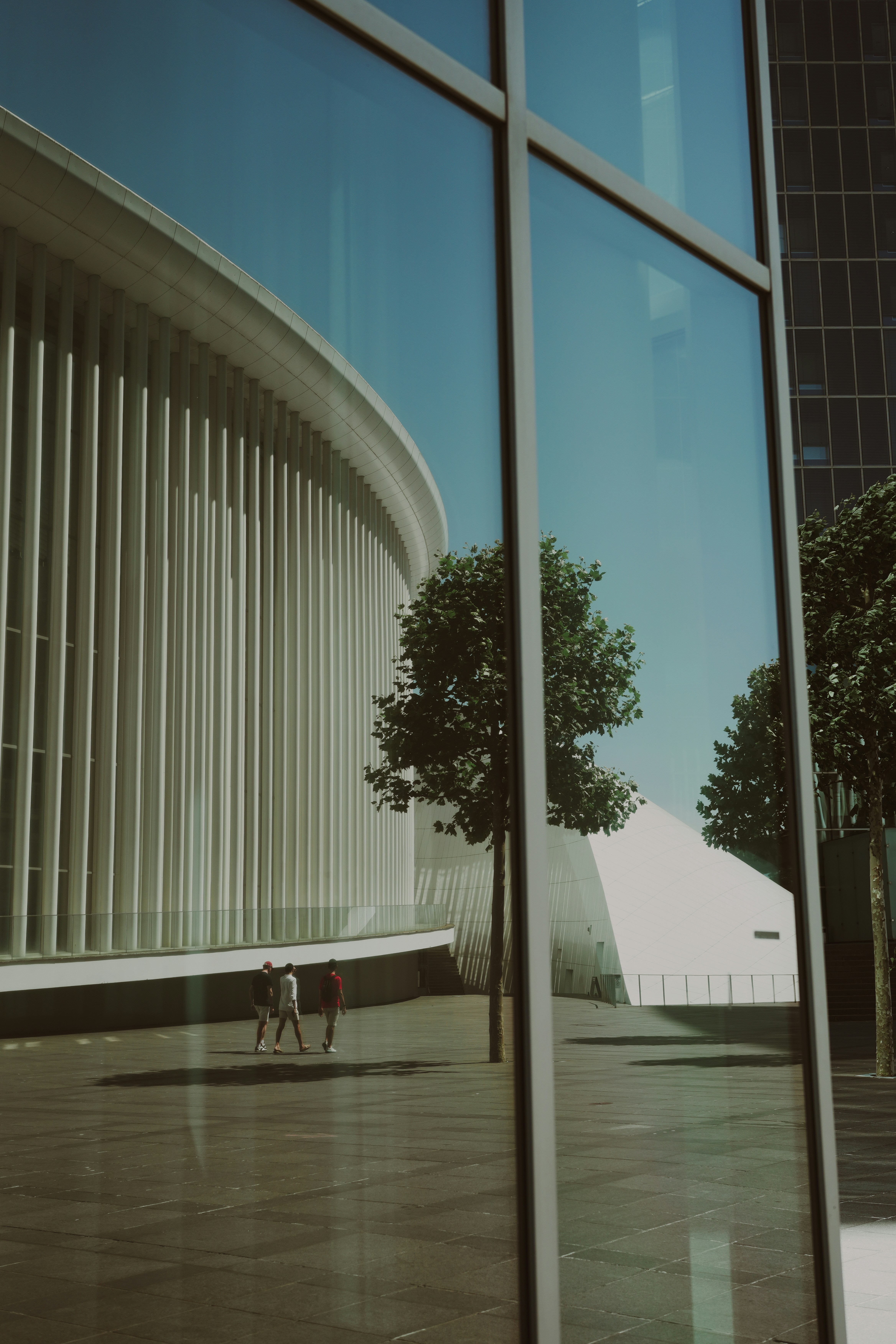 Reflections and Columns: A Glass-Washed Walk Around a Modern Circular Facade