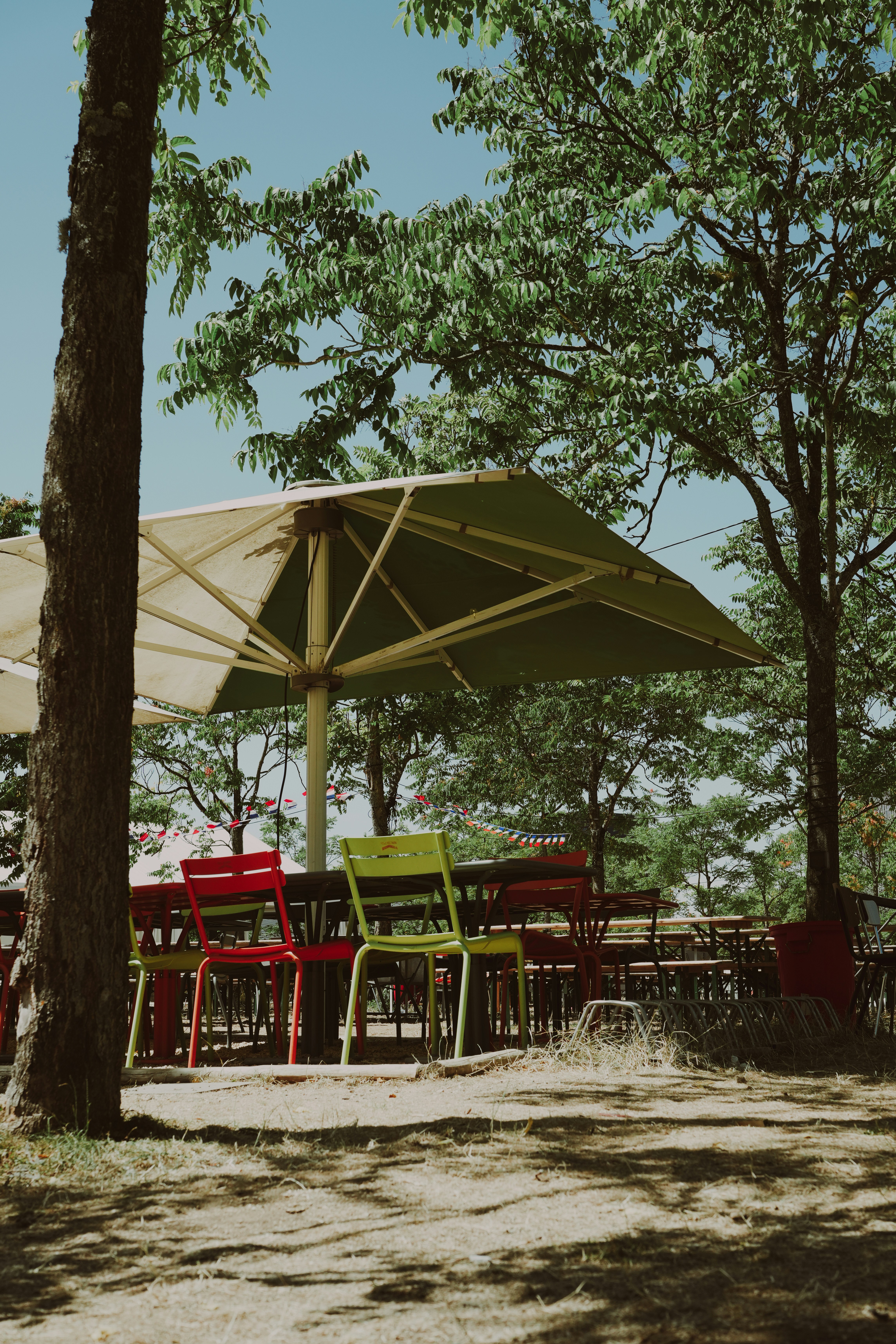 Colorful chairs beneath dappled shade at a sunlit café clearing