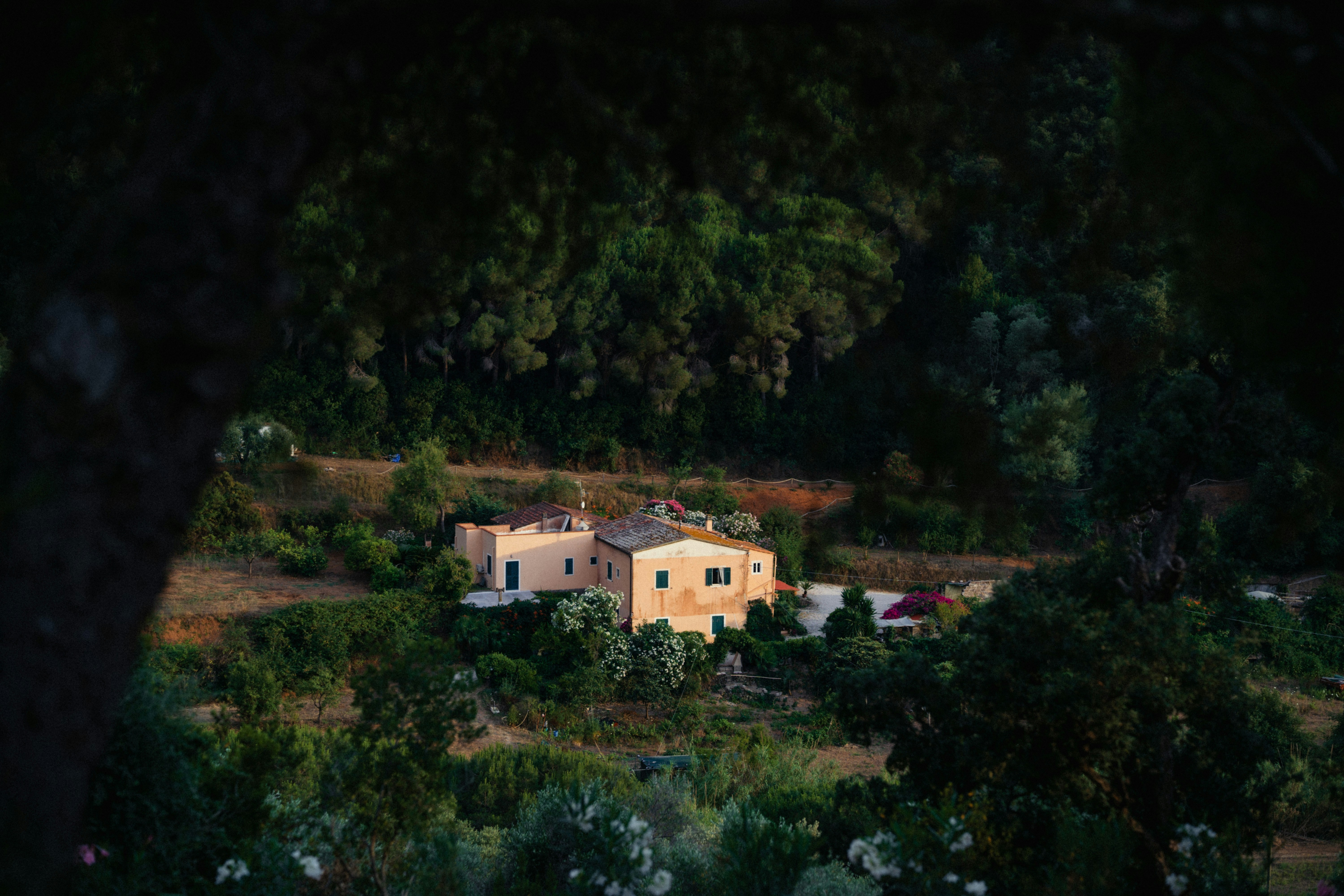 Hidden Village Adrift in a Green Basin