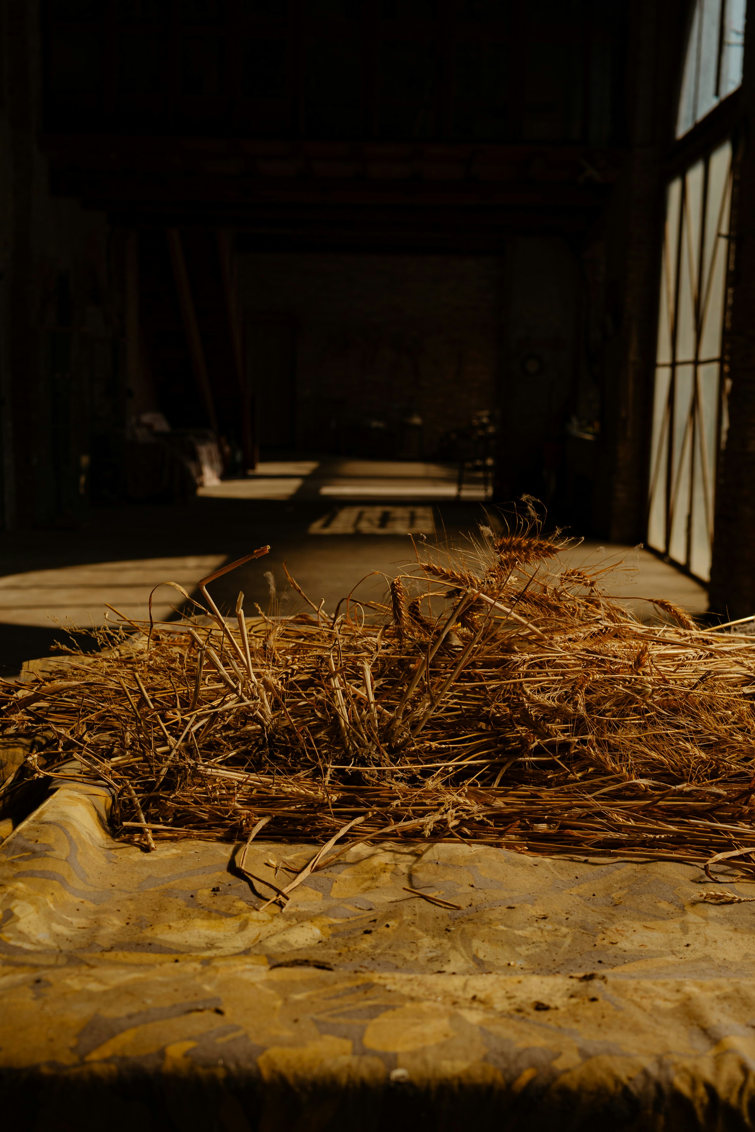 Sunlit Debris in a Silent Warehouse