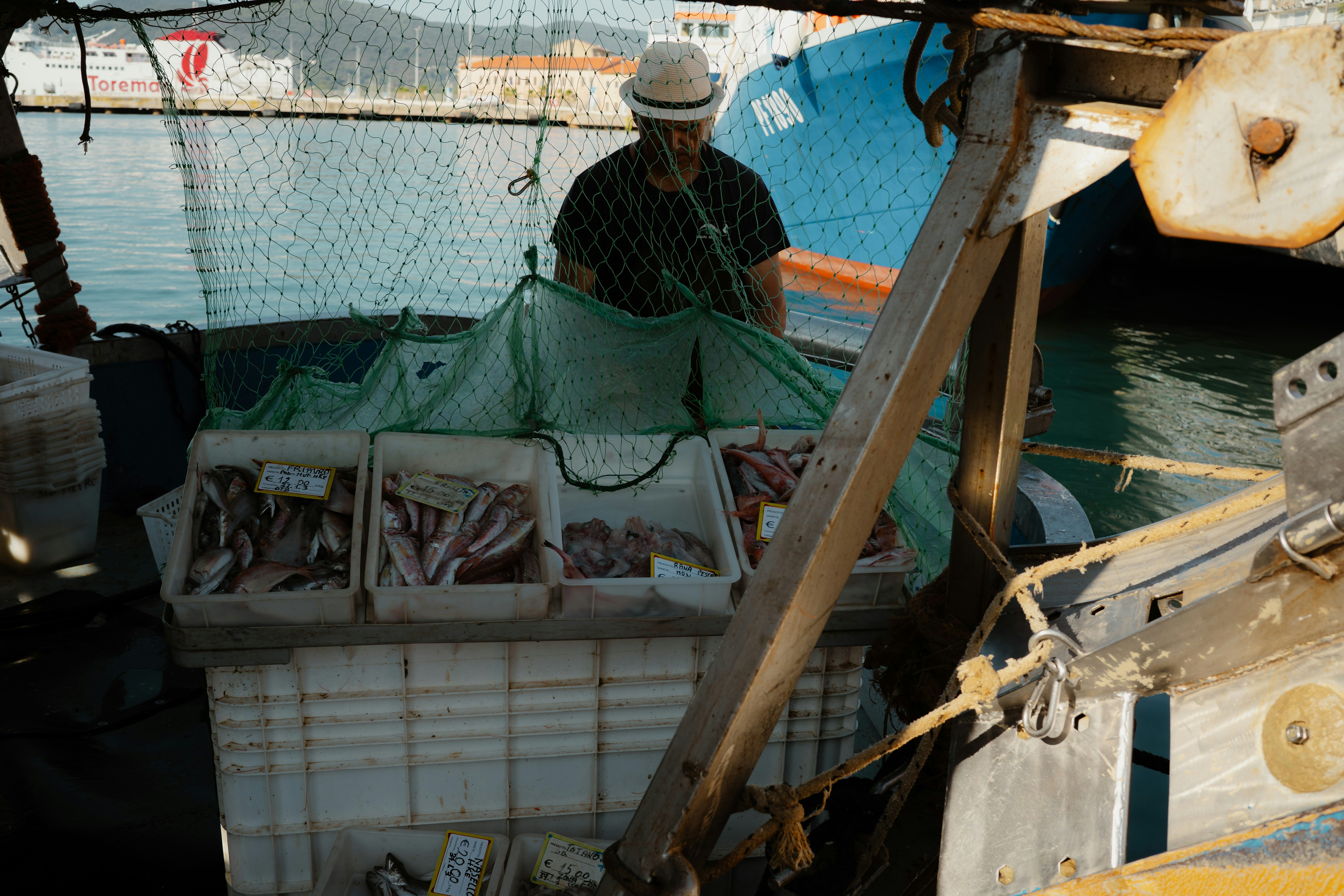 Netted Harvest at the Edge of the Wharf