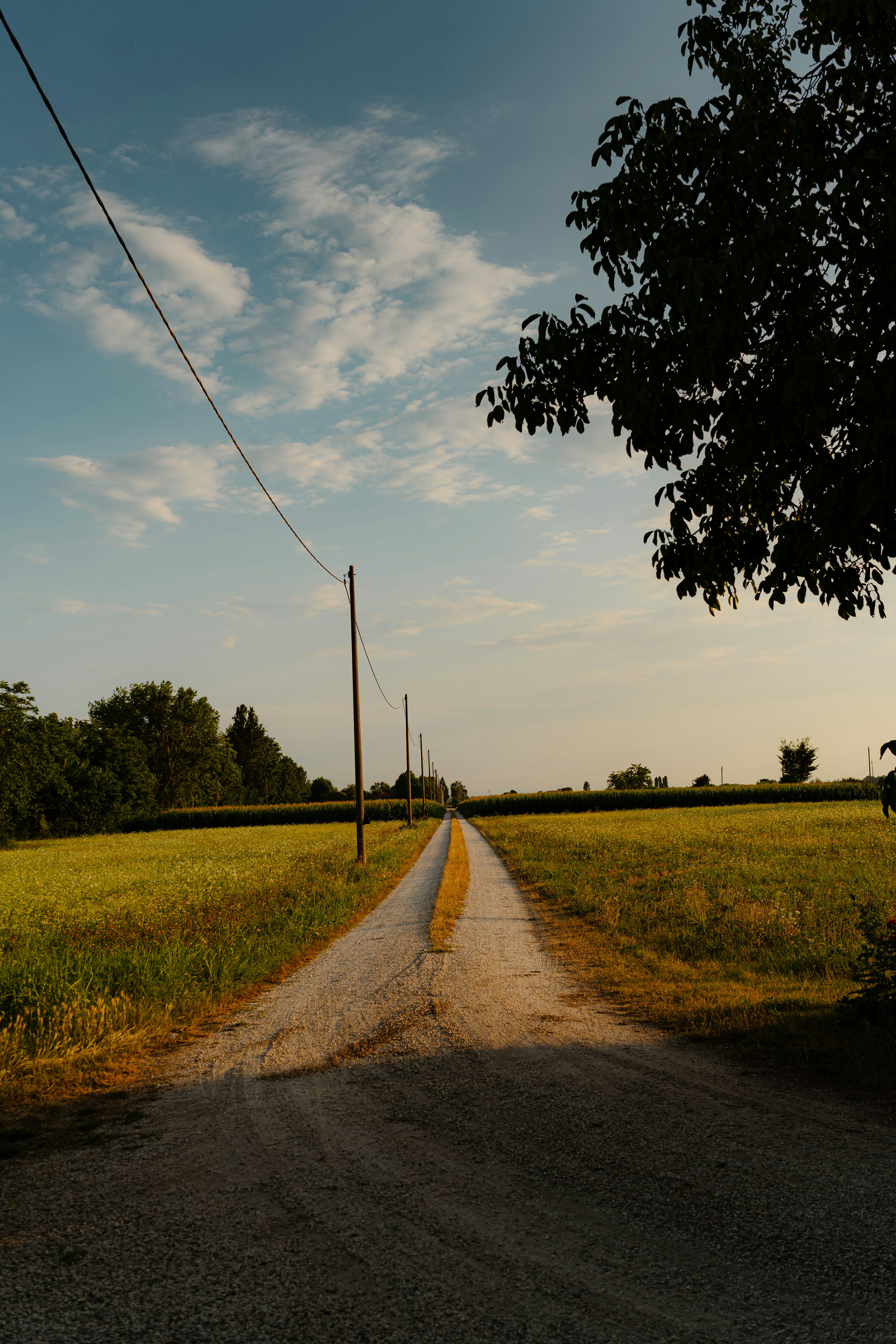 Dusty Road to Evening Light