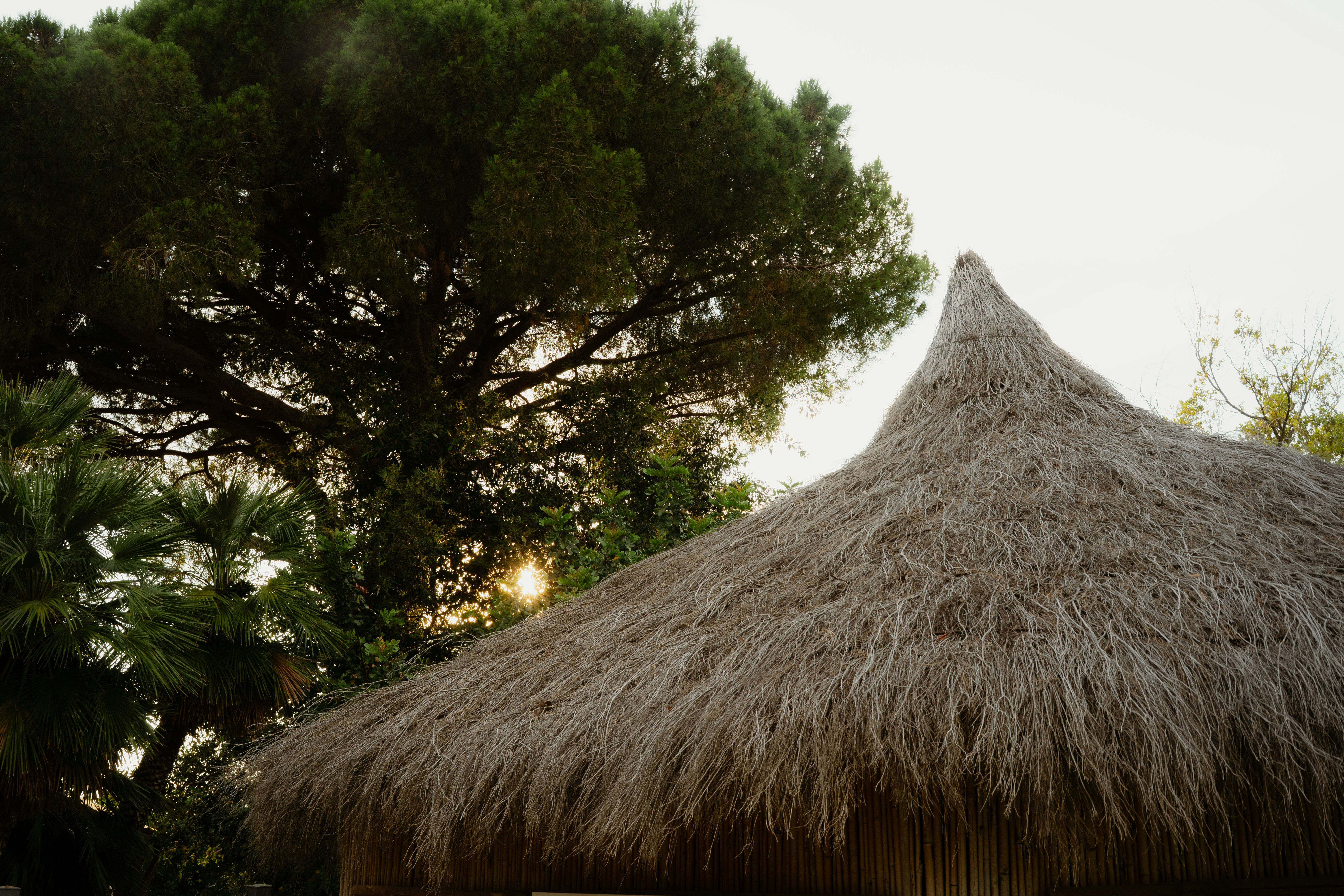 Thatched Shelter Under Evening Light