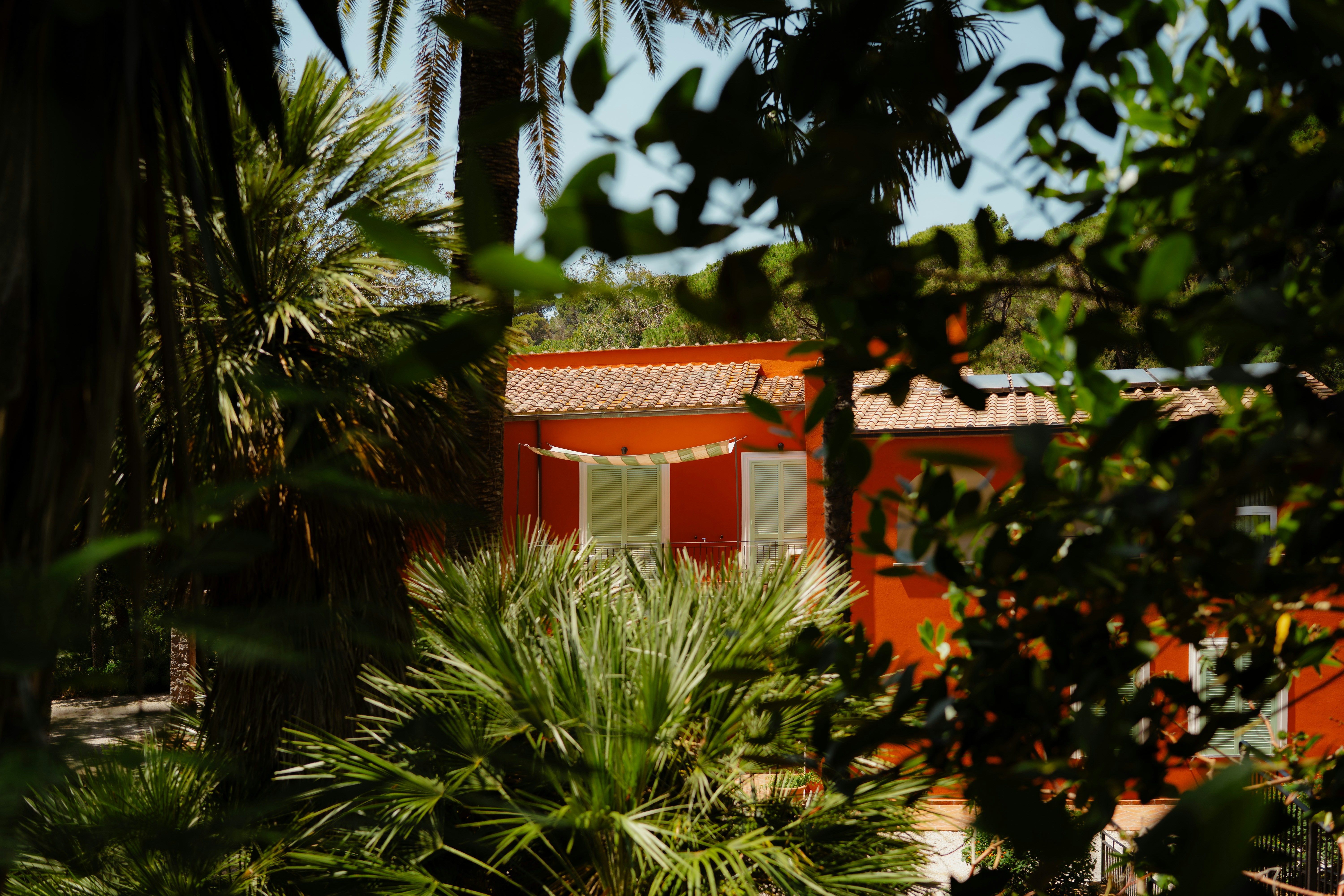 Sunlit Orange House Through Dense Foliage